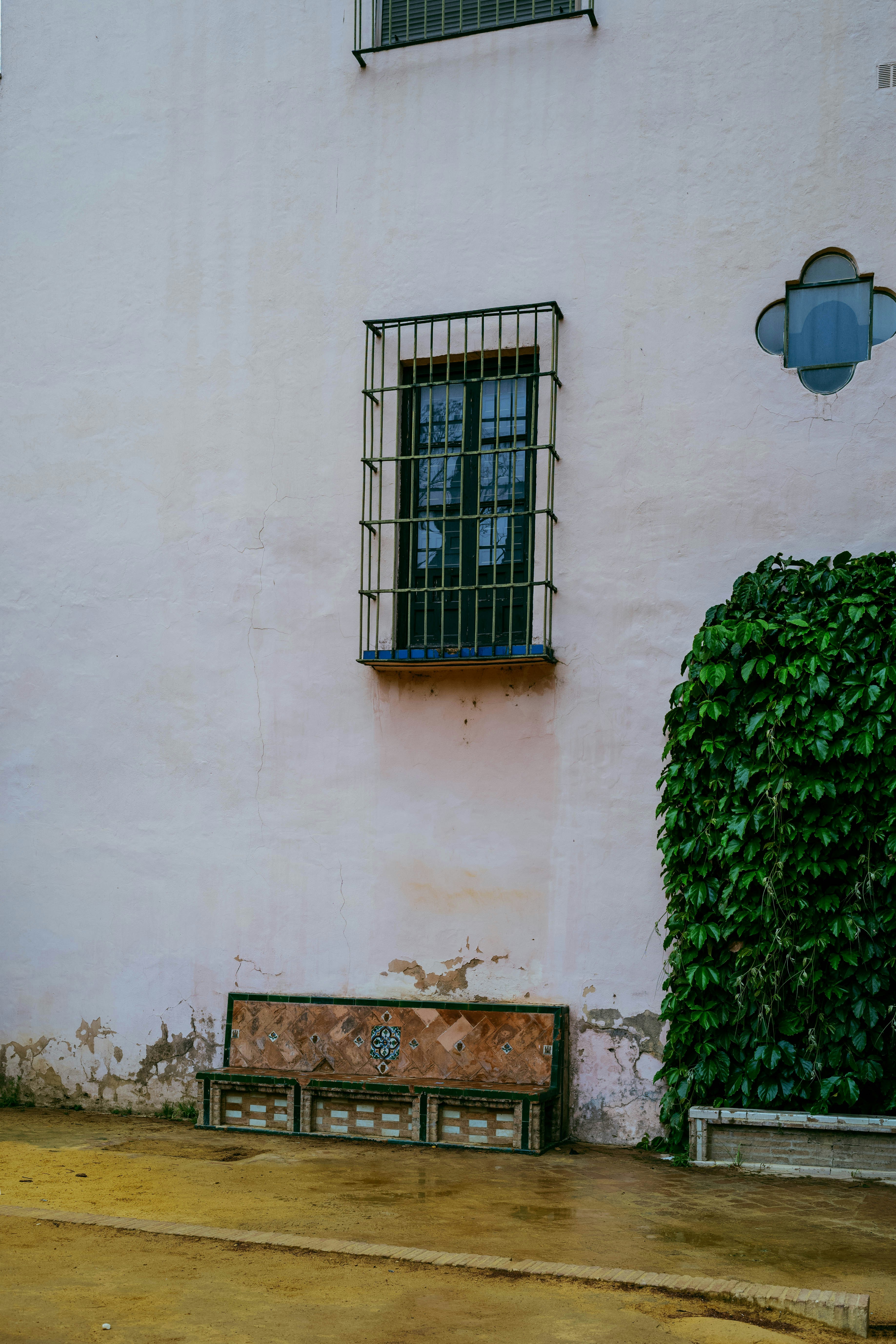 Iron bars and ivy on a sunlit white wall