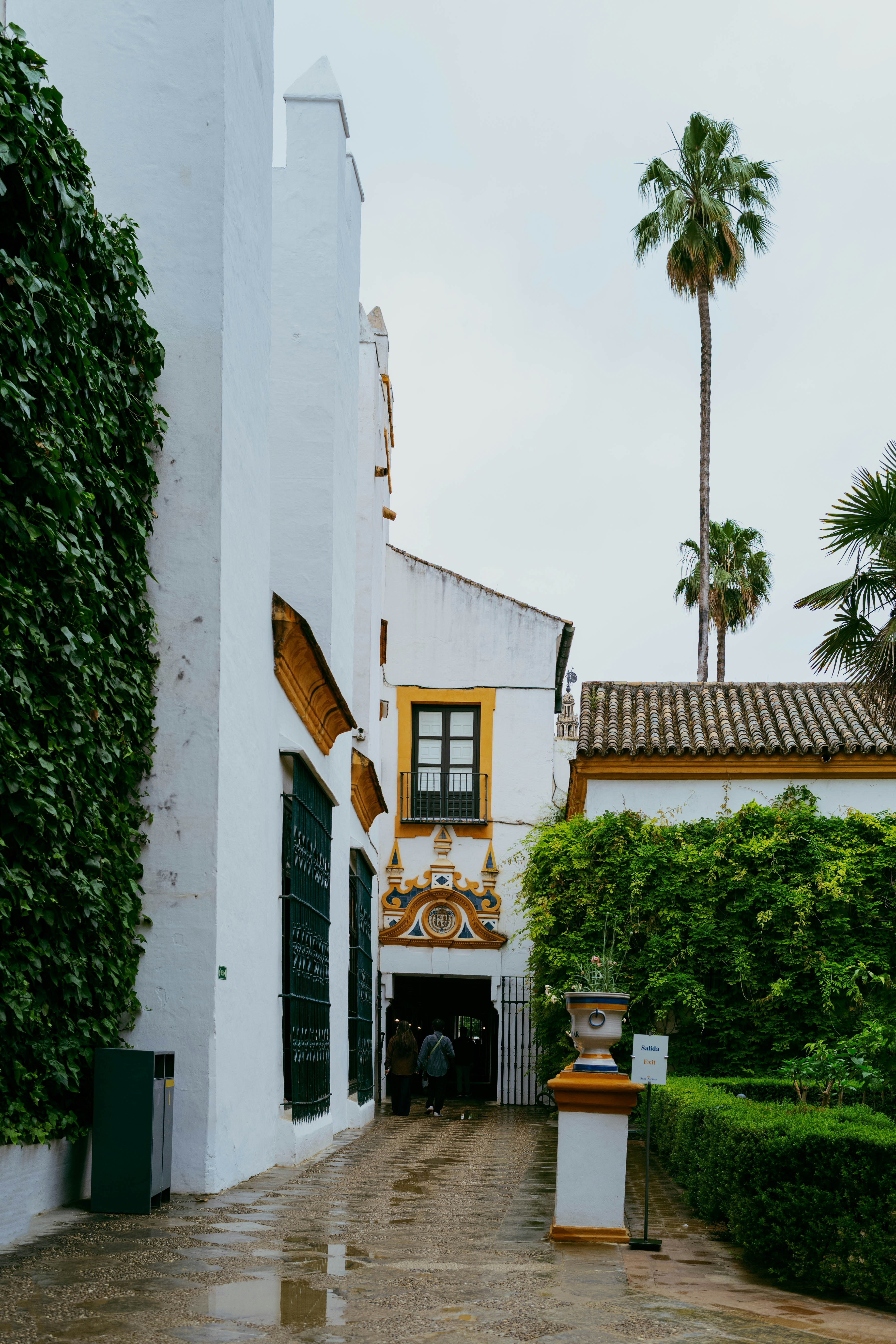 Courtyard Gate: Florid Architecture Embraced by Ivy and Palm