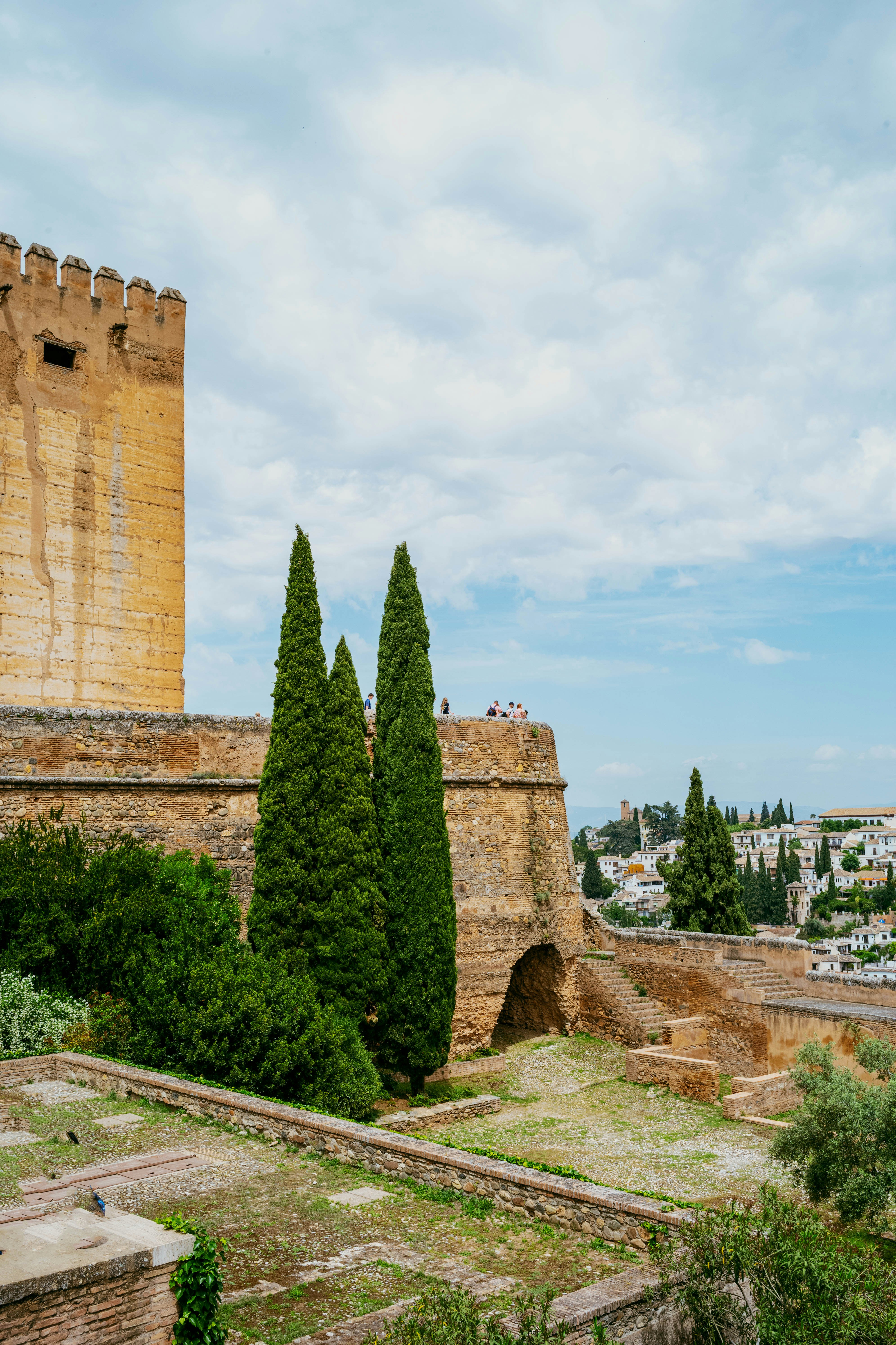 Castellated Prominence: Tower, Cypresses, and Terraced Valleys