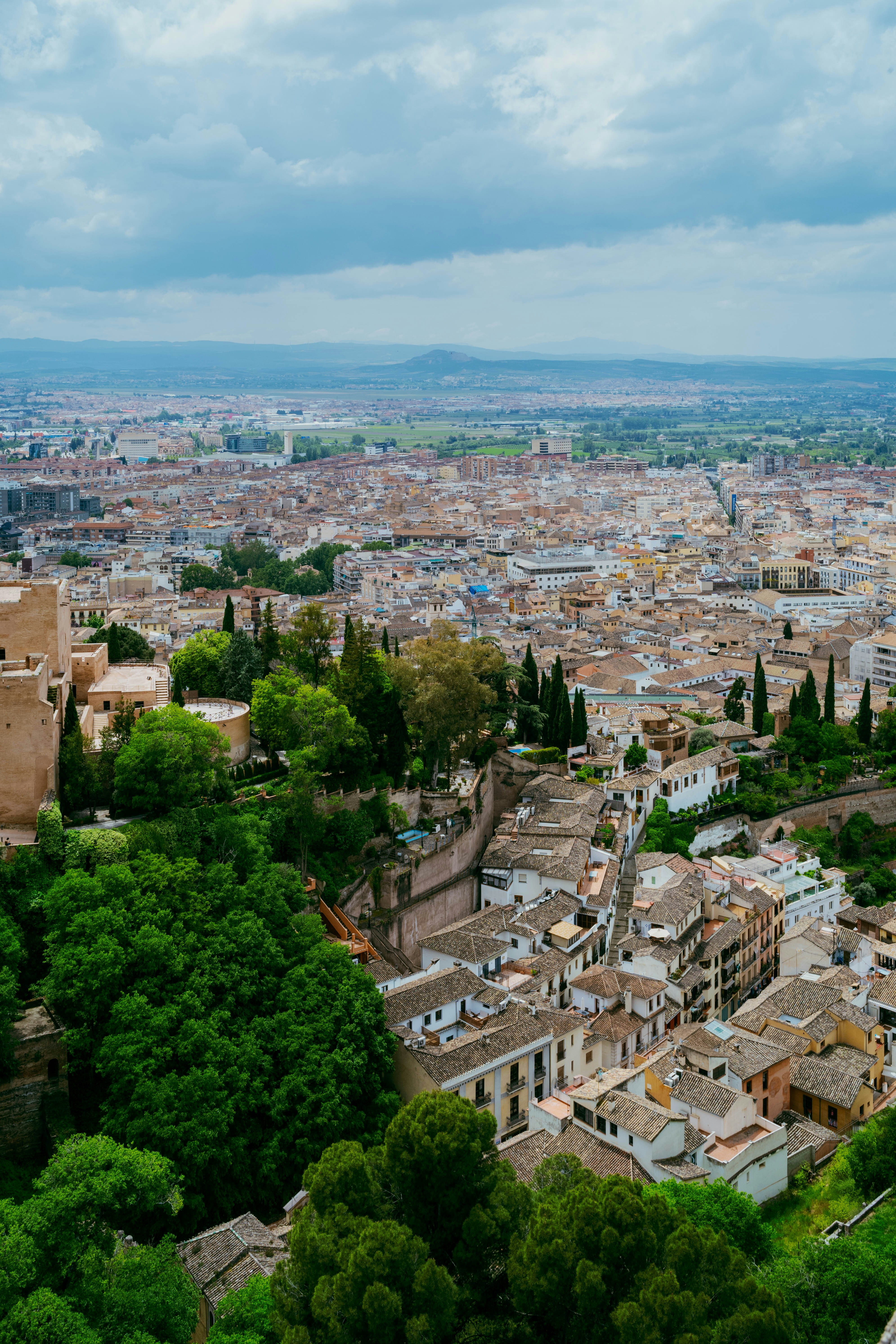 Terraced old town cascading between olive trees and stone roofs