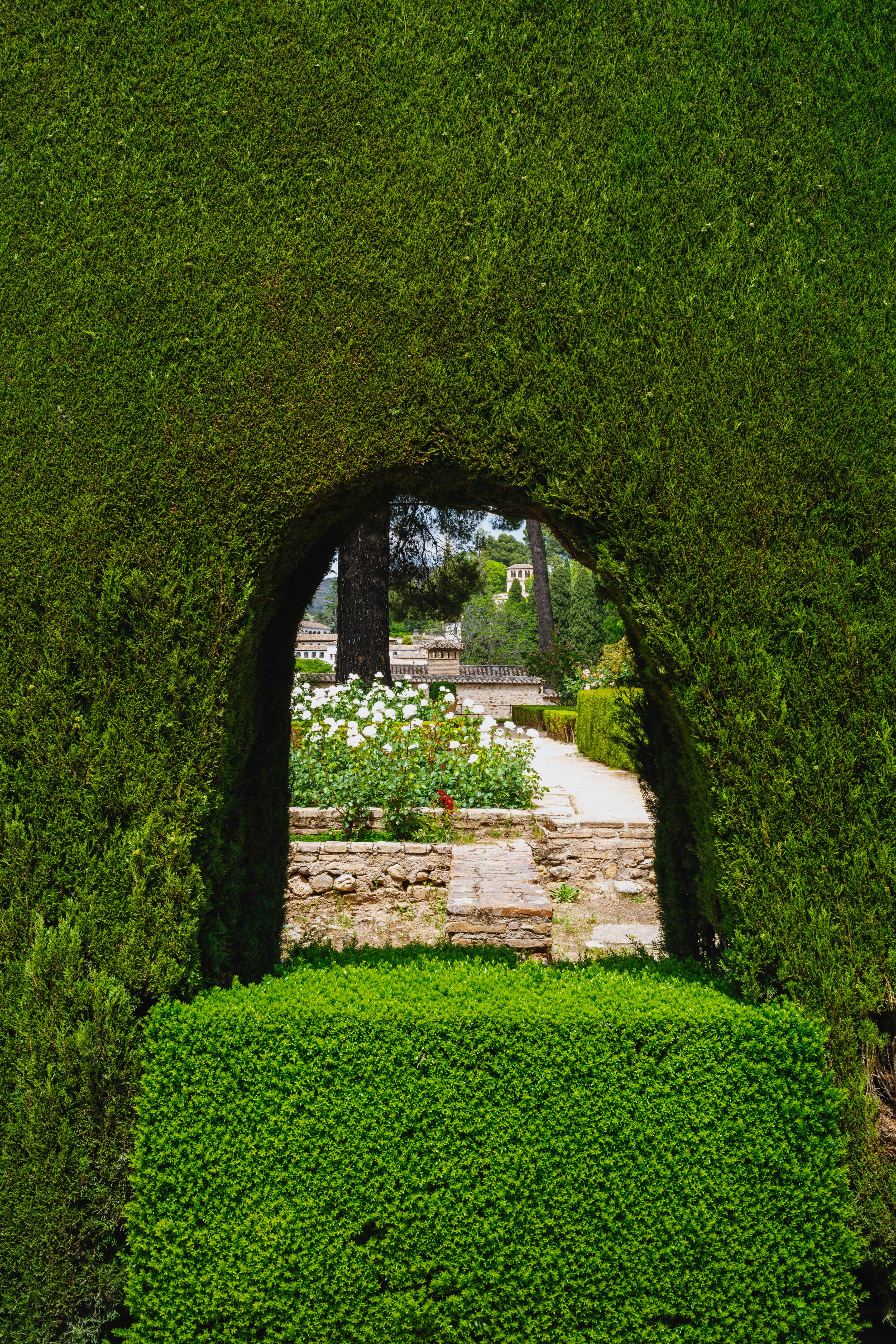 Through the Green Arch: A Garden Gallery Frame