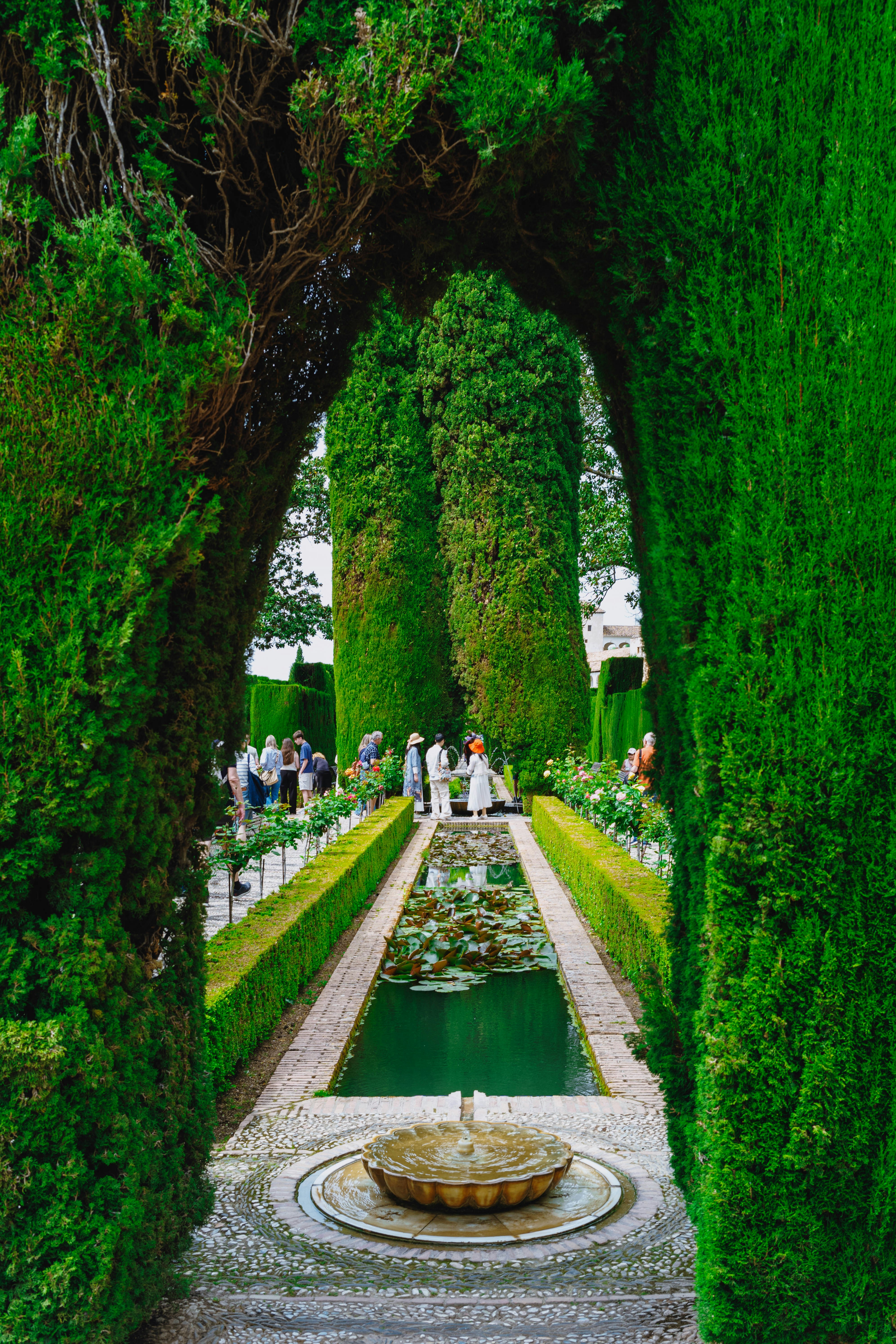Axis of Green: A Garden Walkway Framed by Tall Topiary