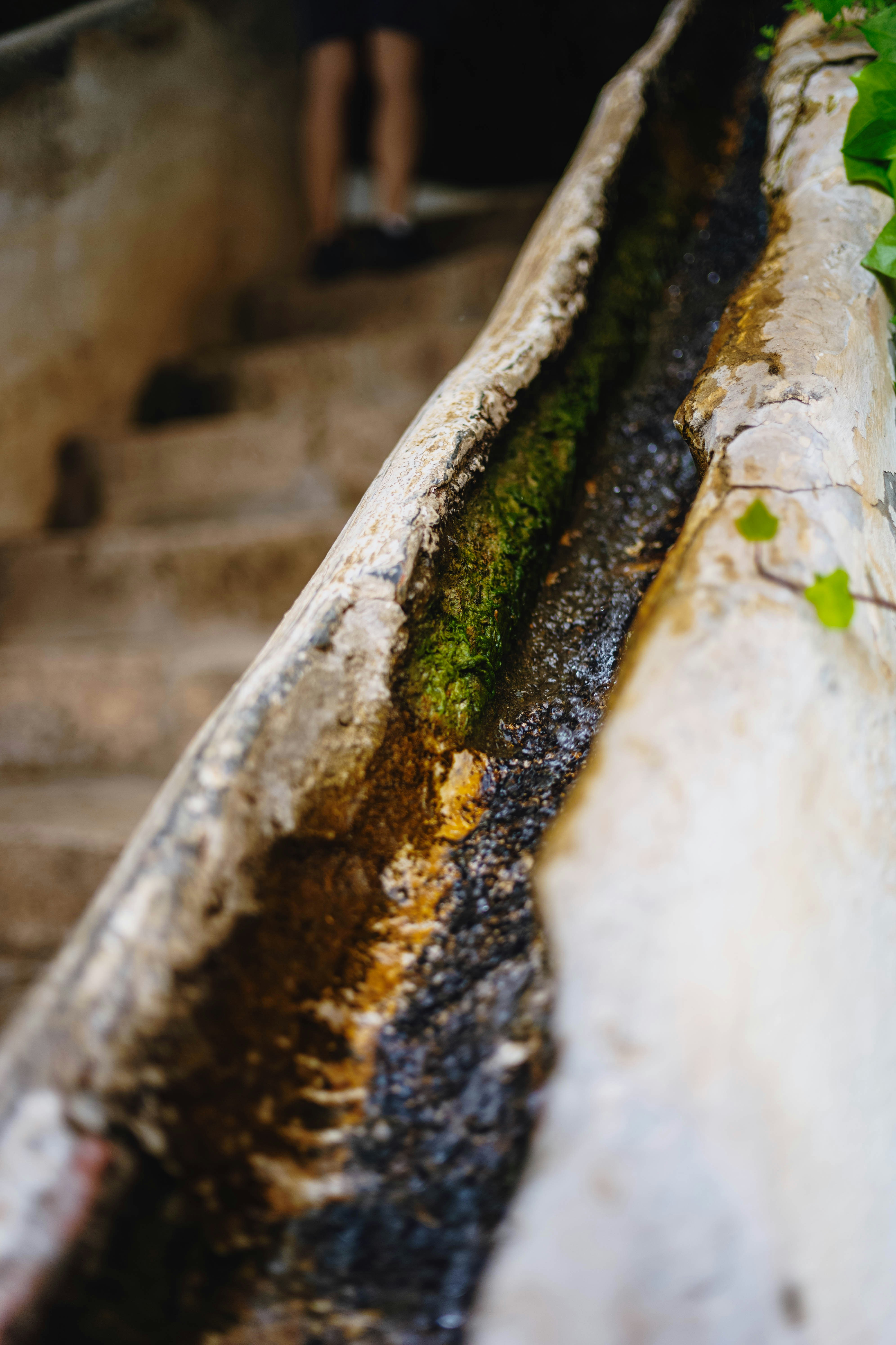 Rugged Stairwell Edge: Moss, Marble, and a Hidden Step
