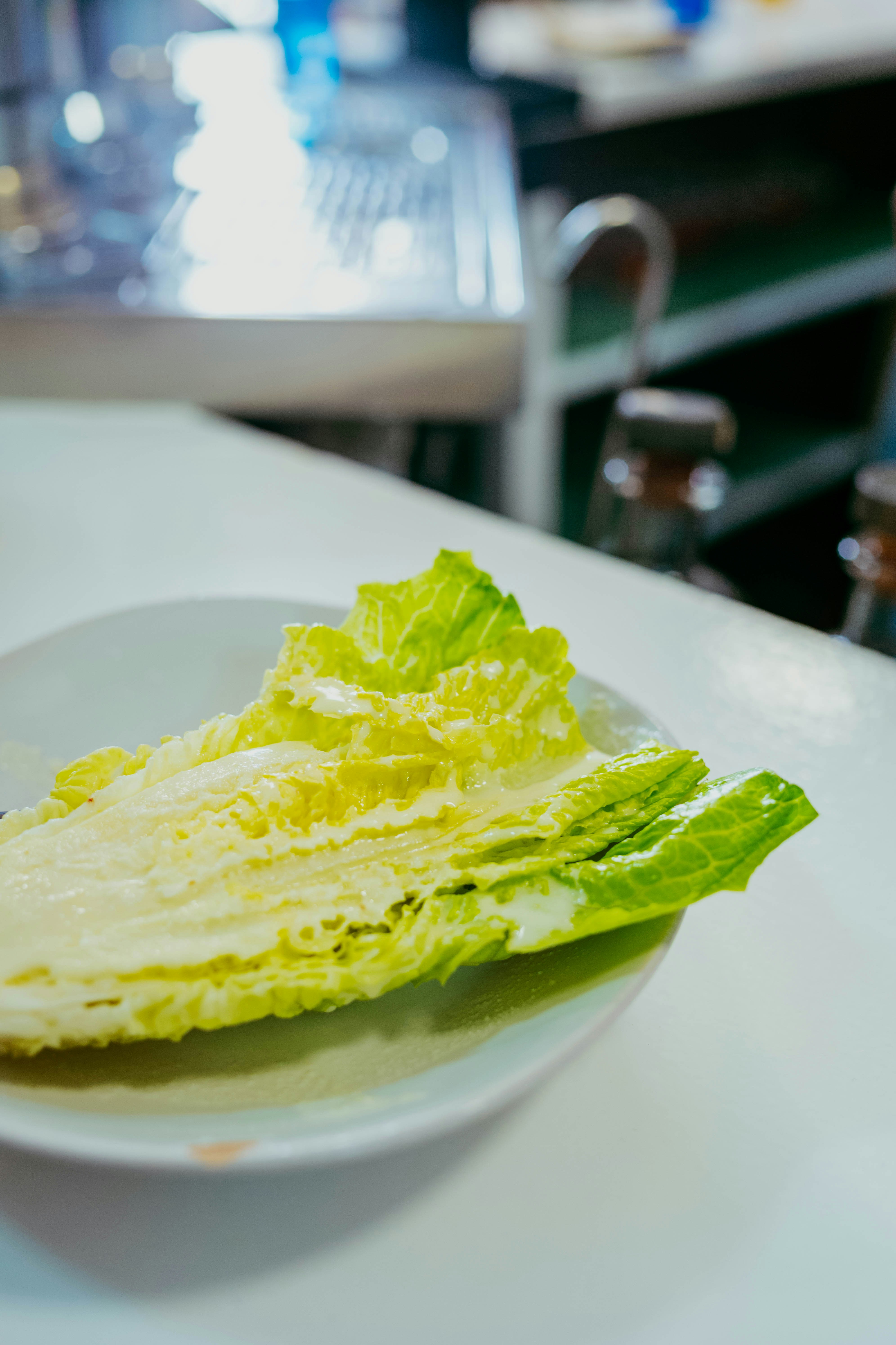 Crisp Romaine on a Quiet Kitchen Counter