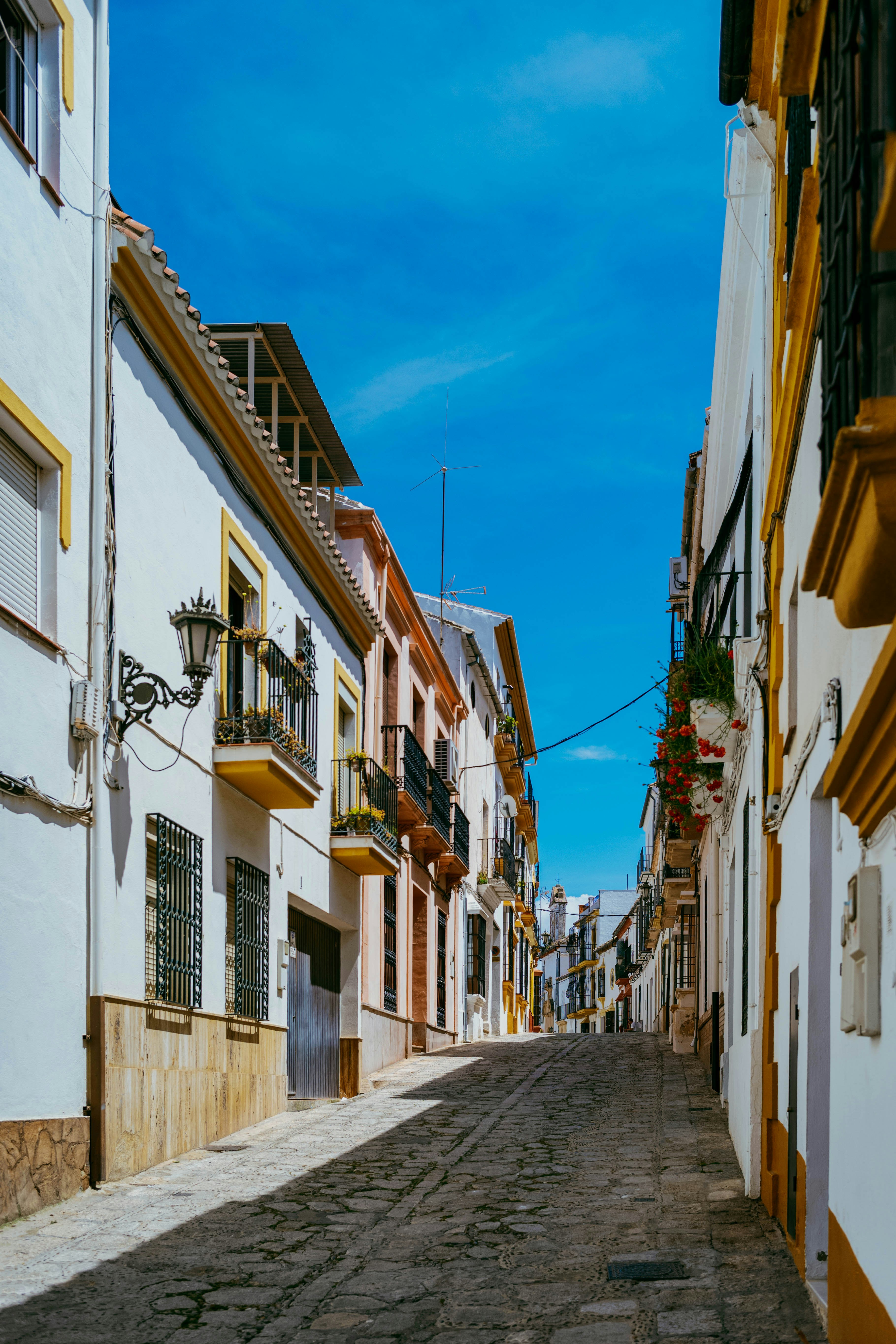 Sunlit Calle of Narrow White-walled Homes