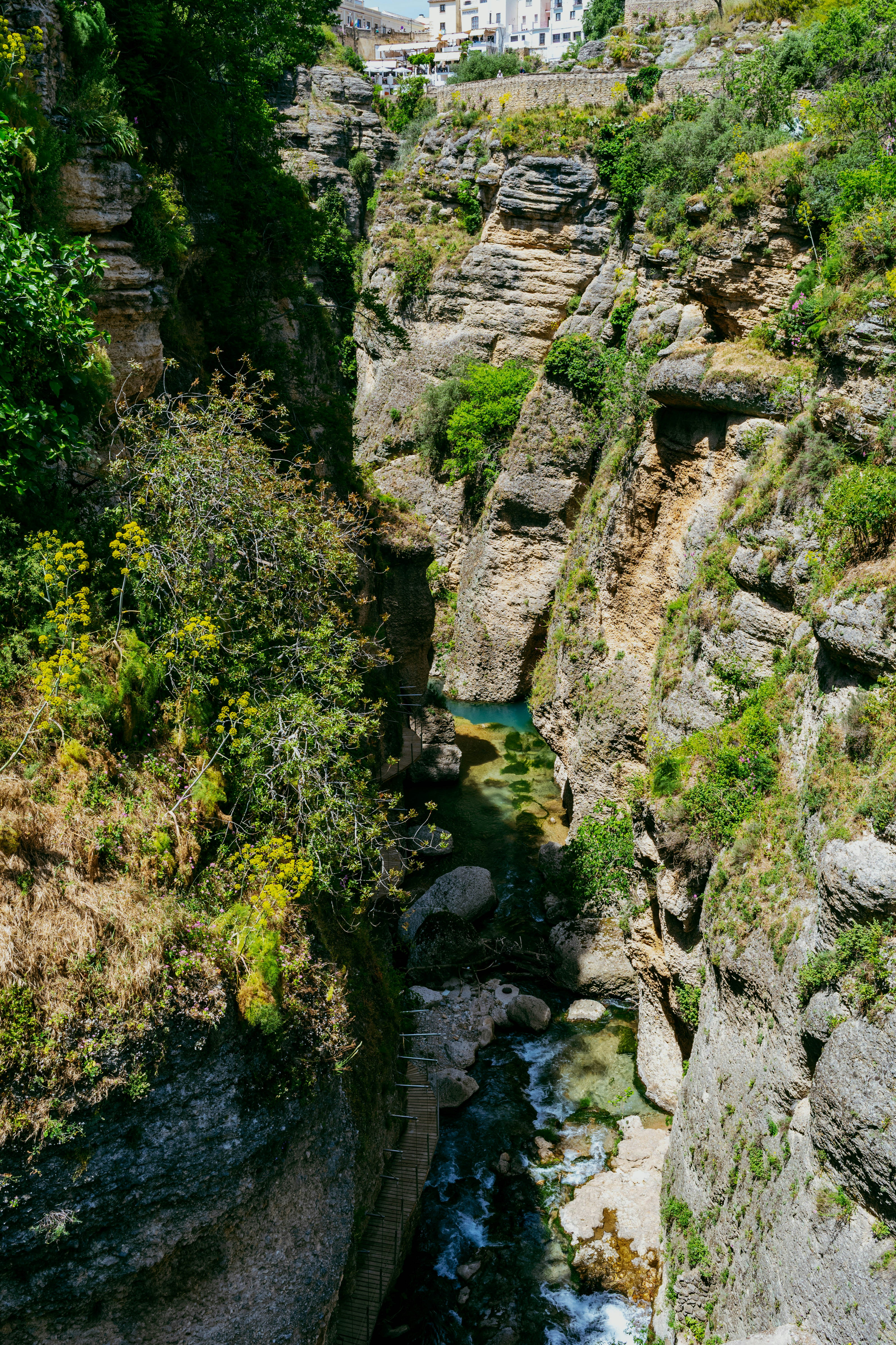 Canyon Corridor: River Threading Between Weathered Cliffs