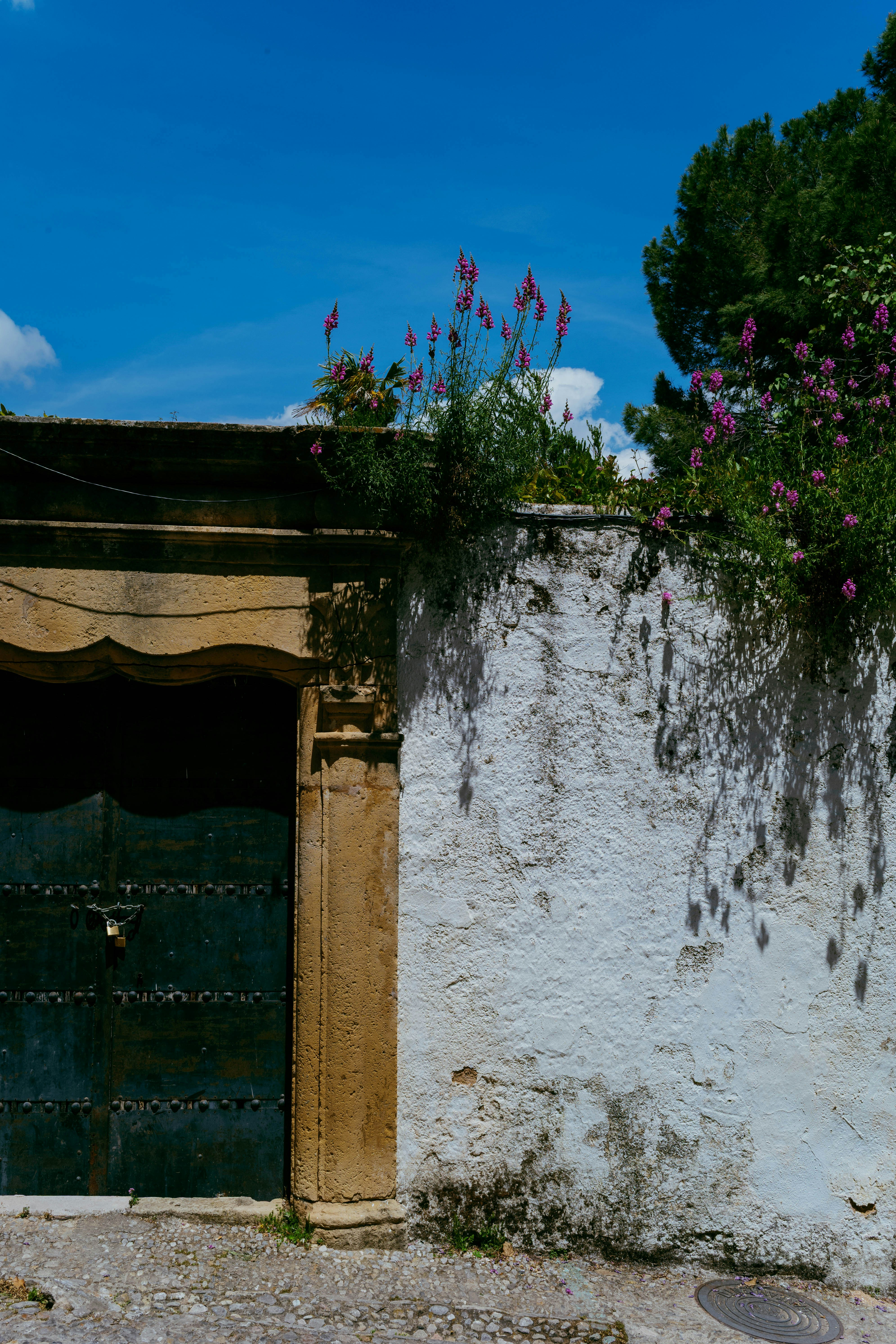 Weathered doorway under a blue sky with ivy-draped white wall