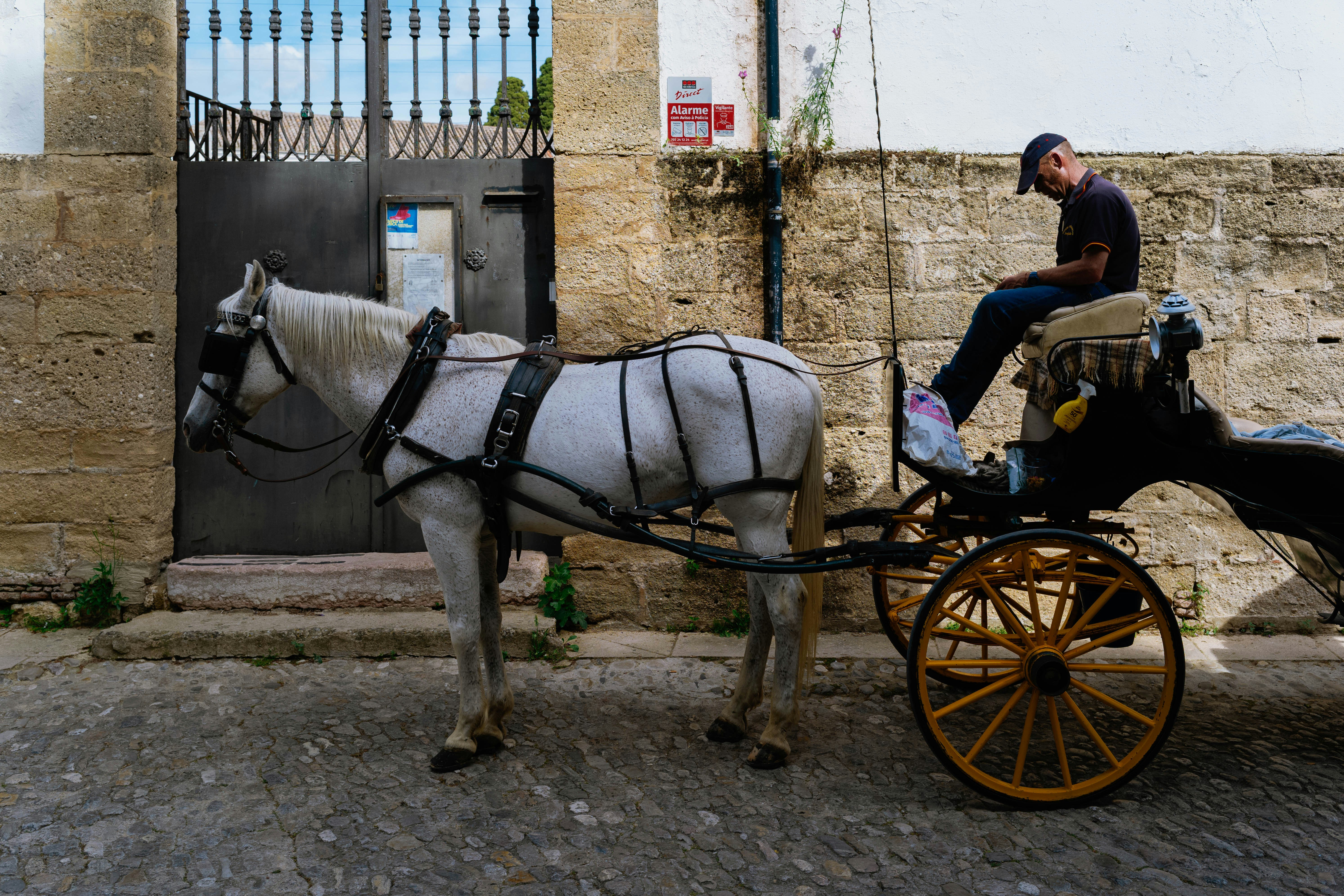 Horse-drawn carriage rests beneath a sunlit street arch