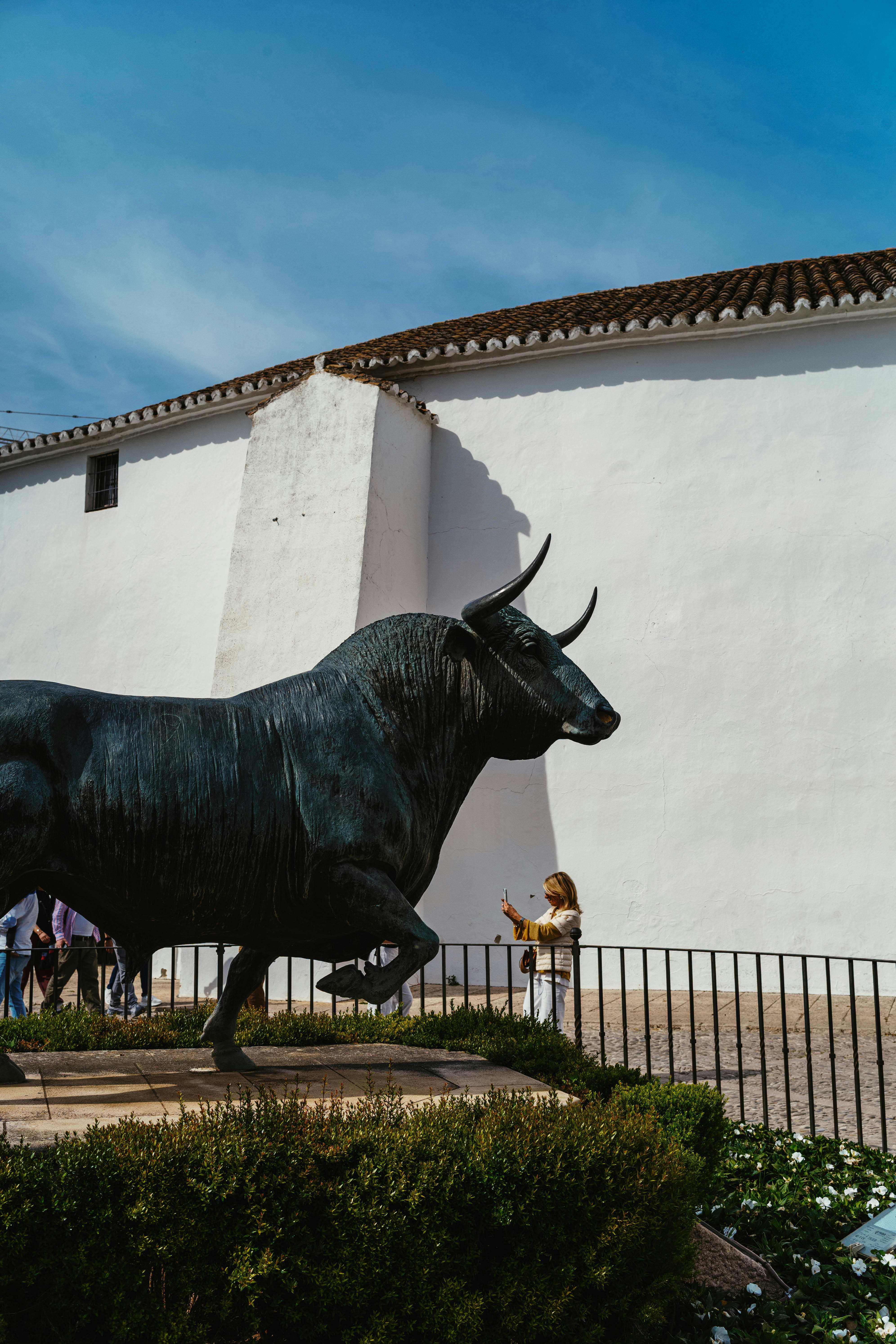 Bronze Bull at Rest: A Life-Sized Guard in White-Walled Courtyard