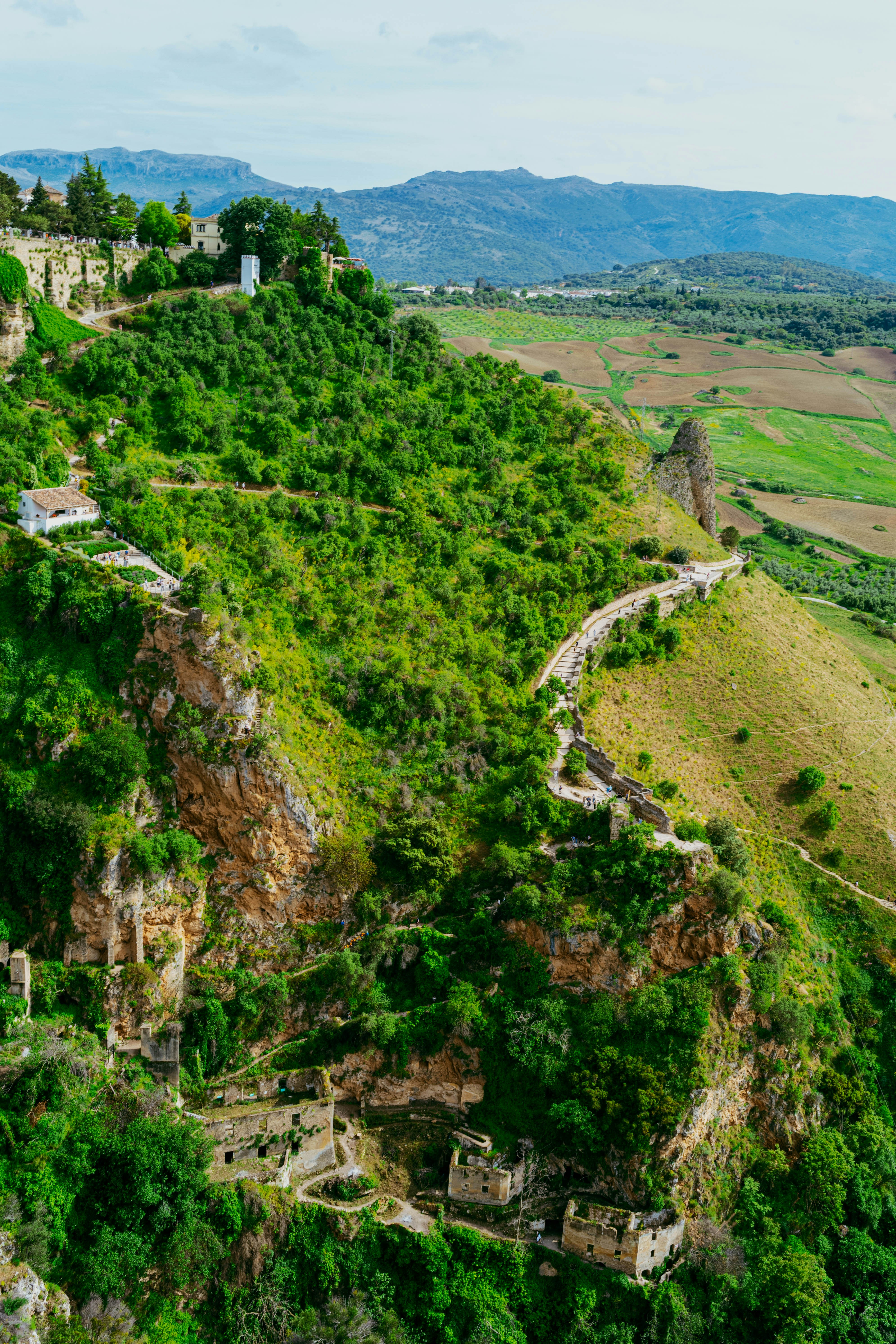A Verdant Cliffside Path Winding Through Ruins and Olive Groves