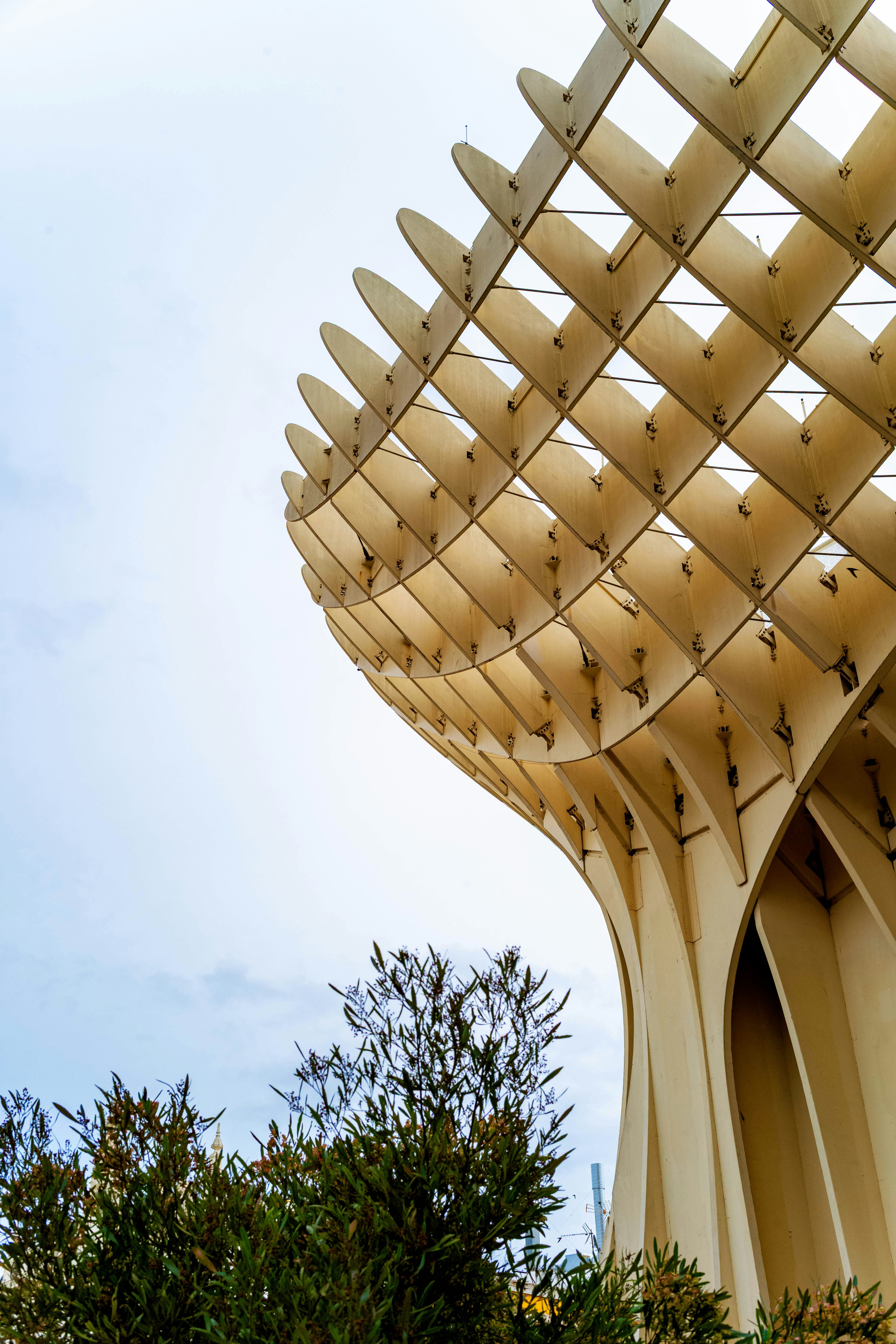 Architectural canopy: a lattice of curved fins against a pale sky