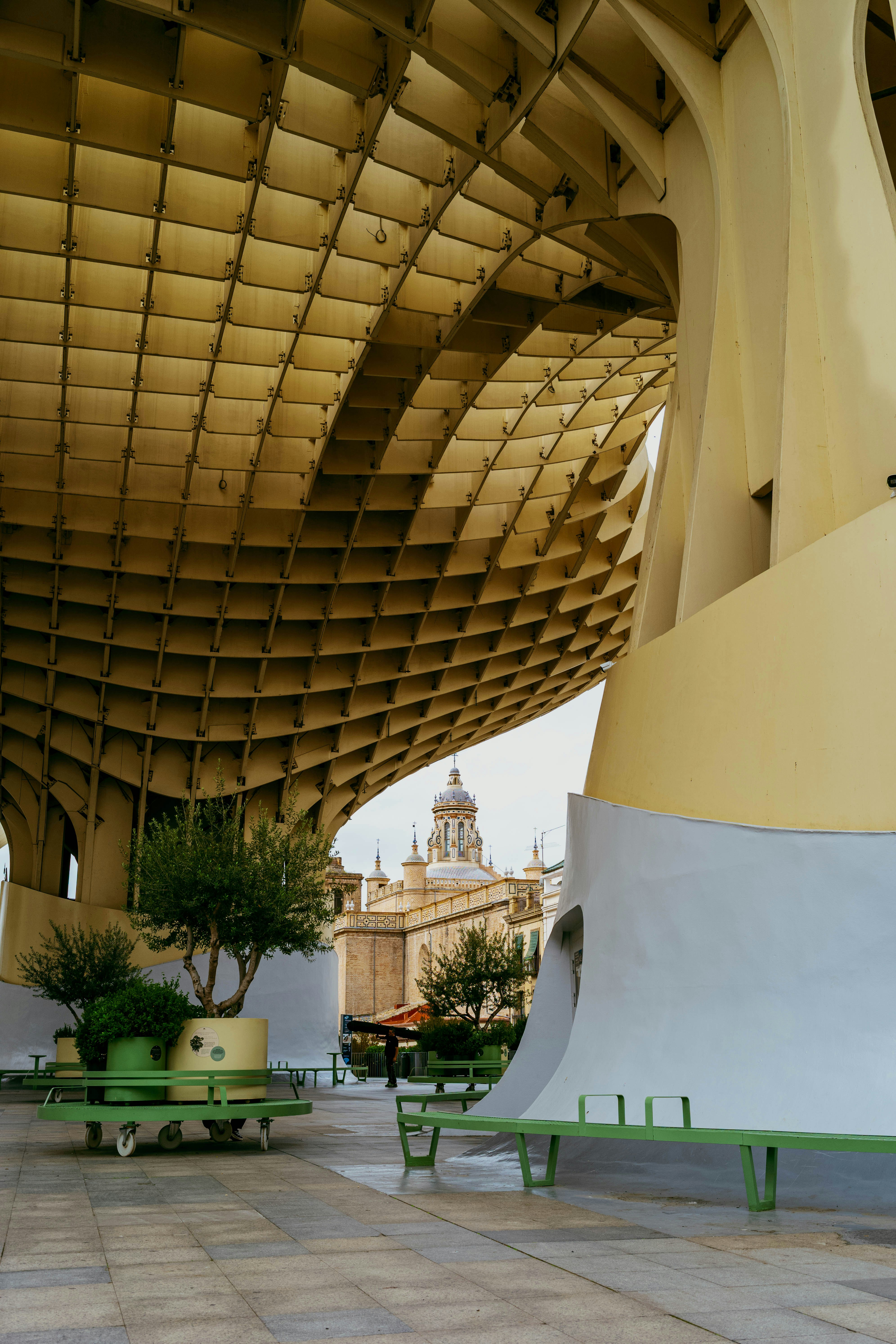 Under the Golden Weave: A Cathedral of Curves Framed by Modern Steel