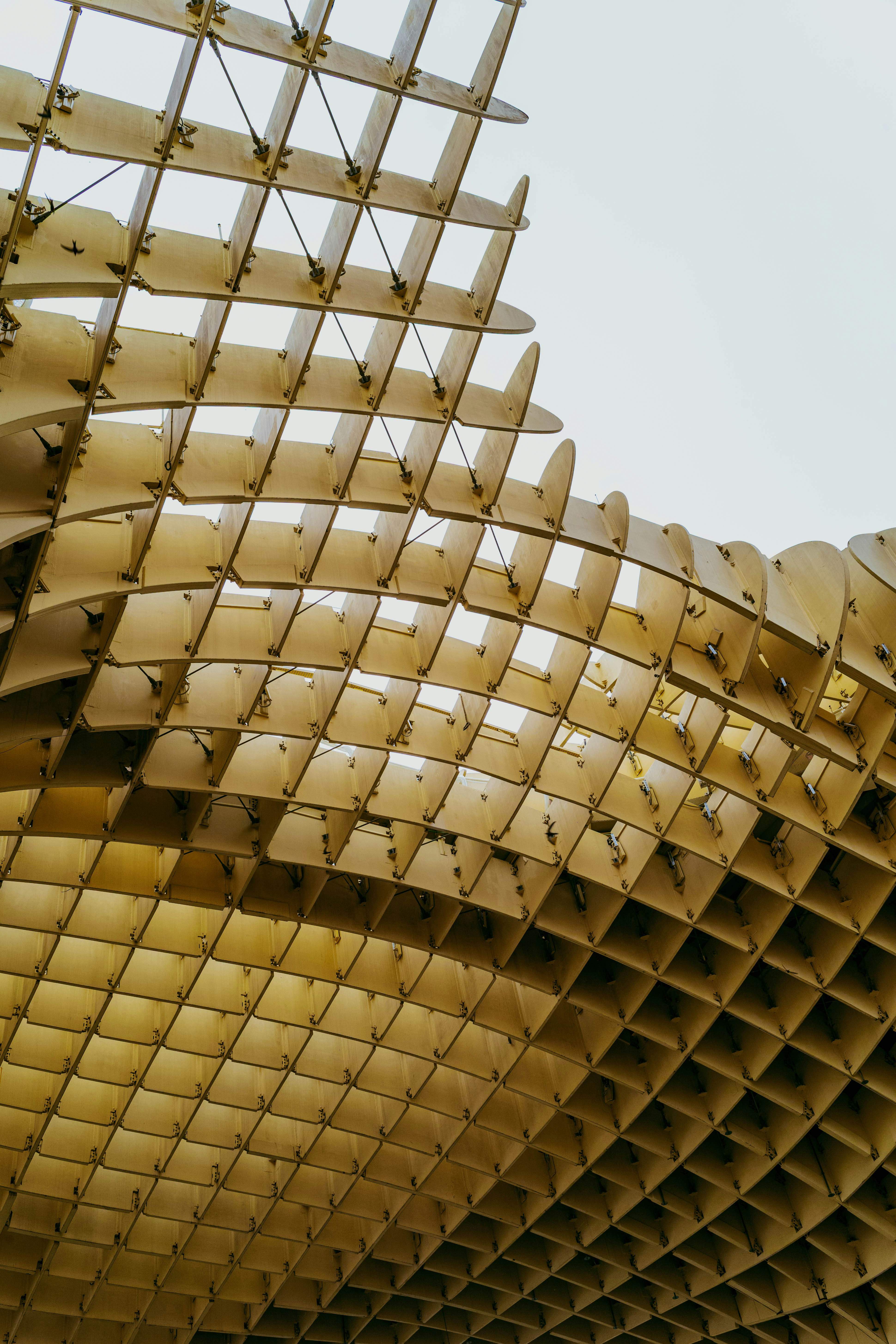 Curved lattice of metallic fins forming a sunlit wave