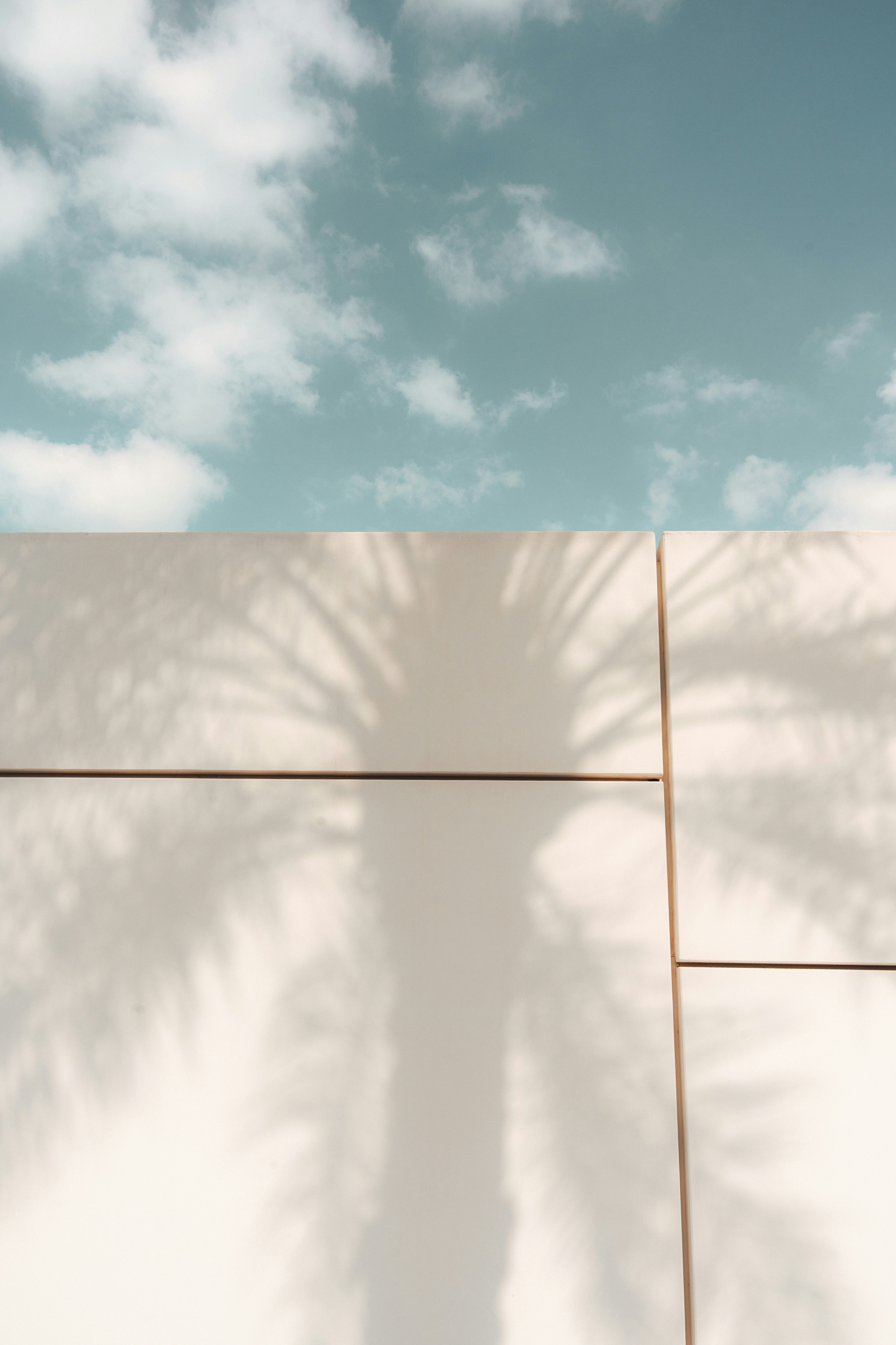 Shadowed palm against a pale wall under a bright sky