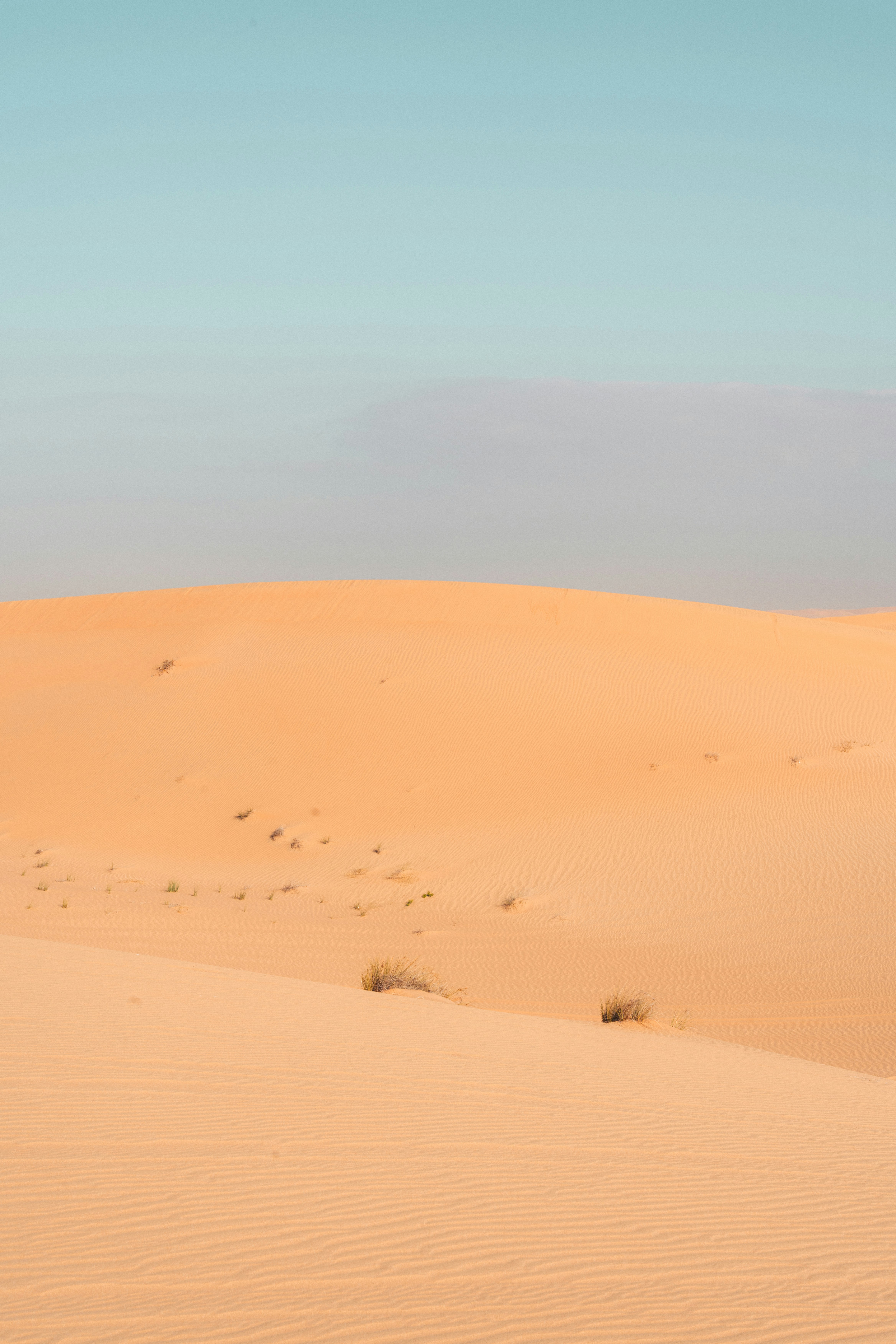 Soft Dunes Under a Pastel Sky