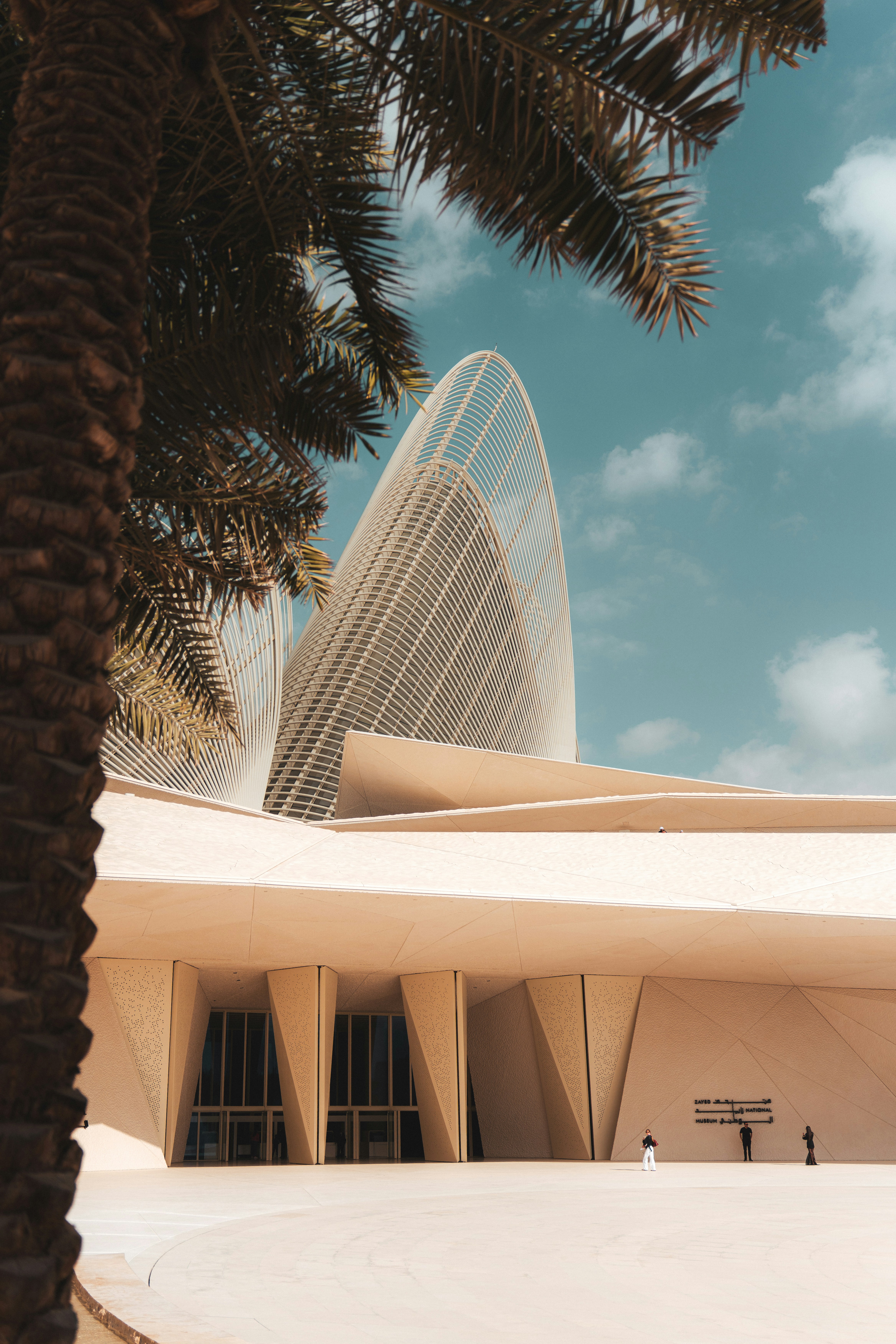 Curved Cathedral of Light: Urban Palms and Architecture