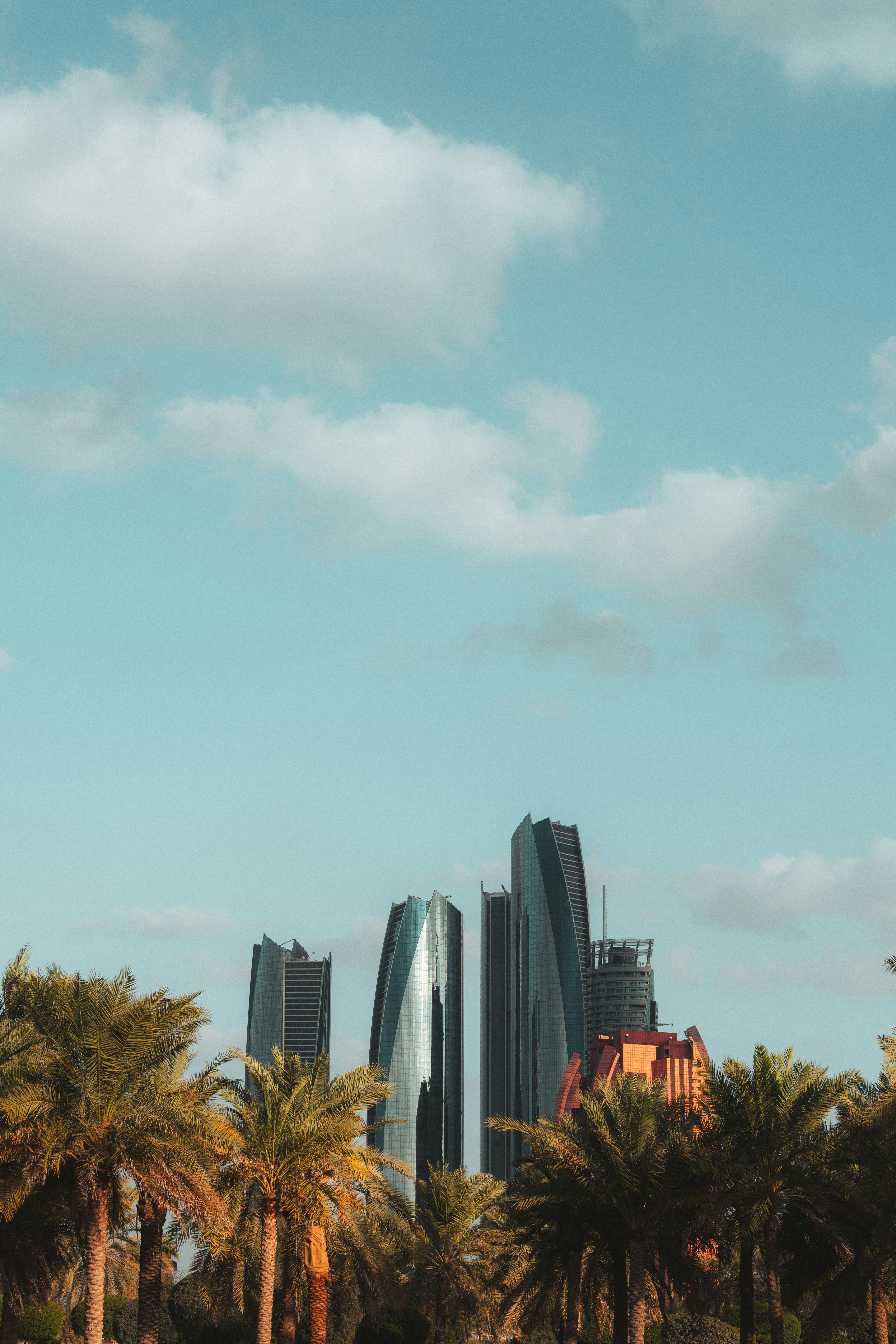 Cityscape of Modern Towers Rising Over a Palm Canopy