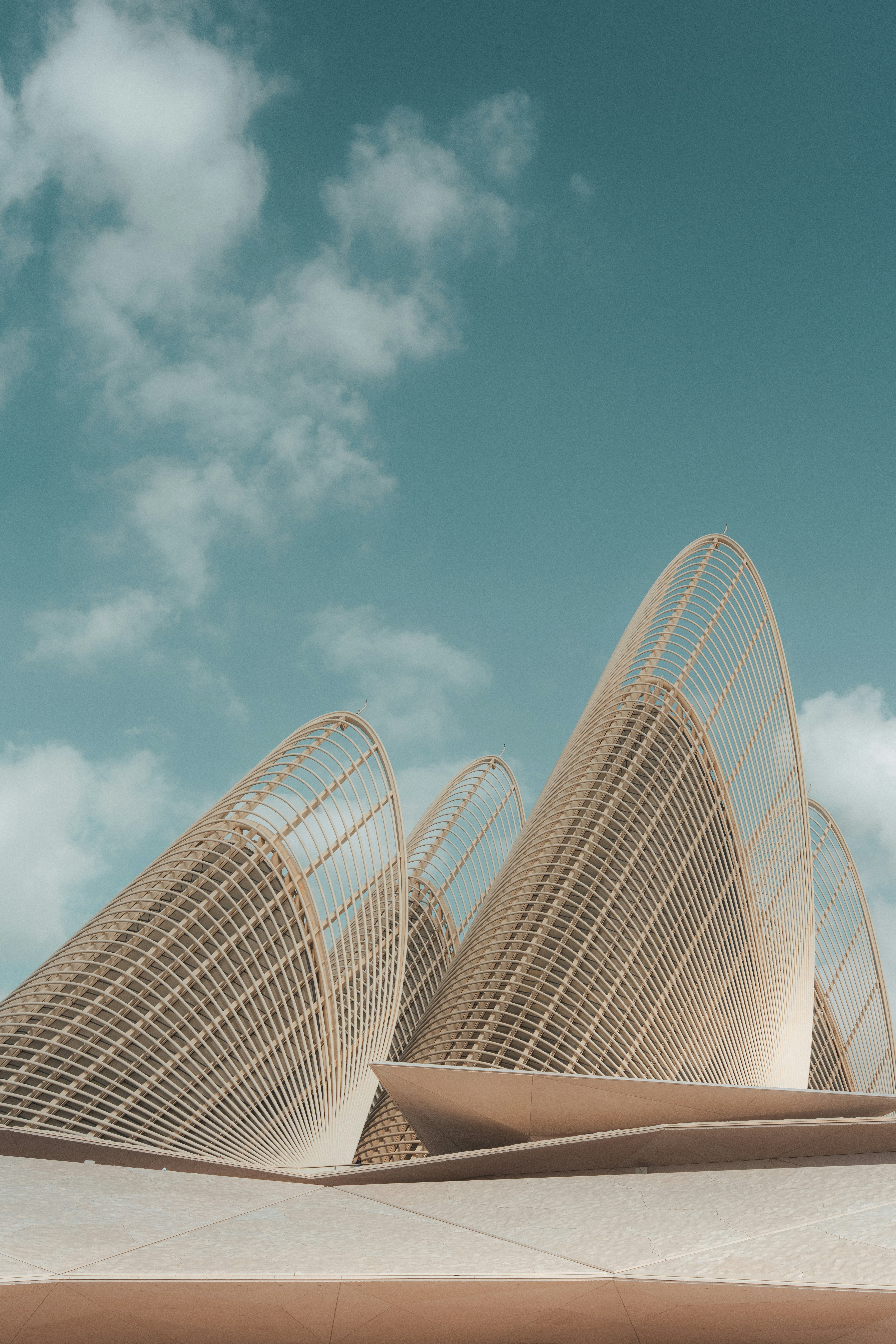 Curves of Steel under a Desert Sky