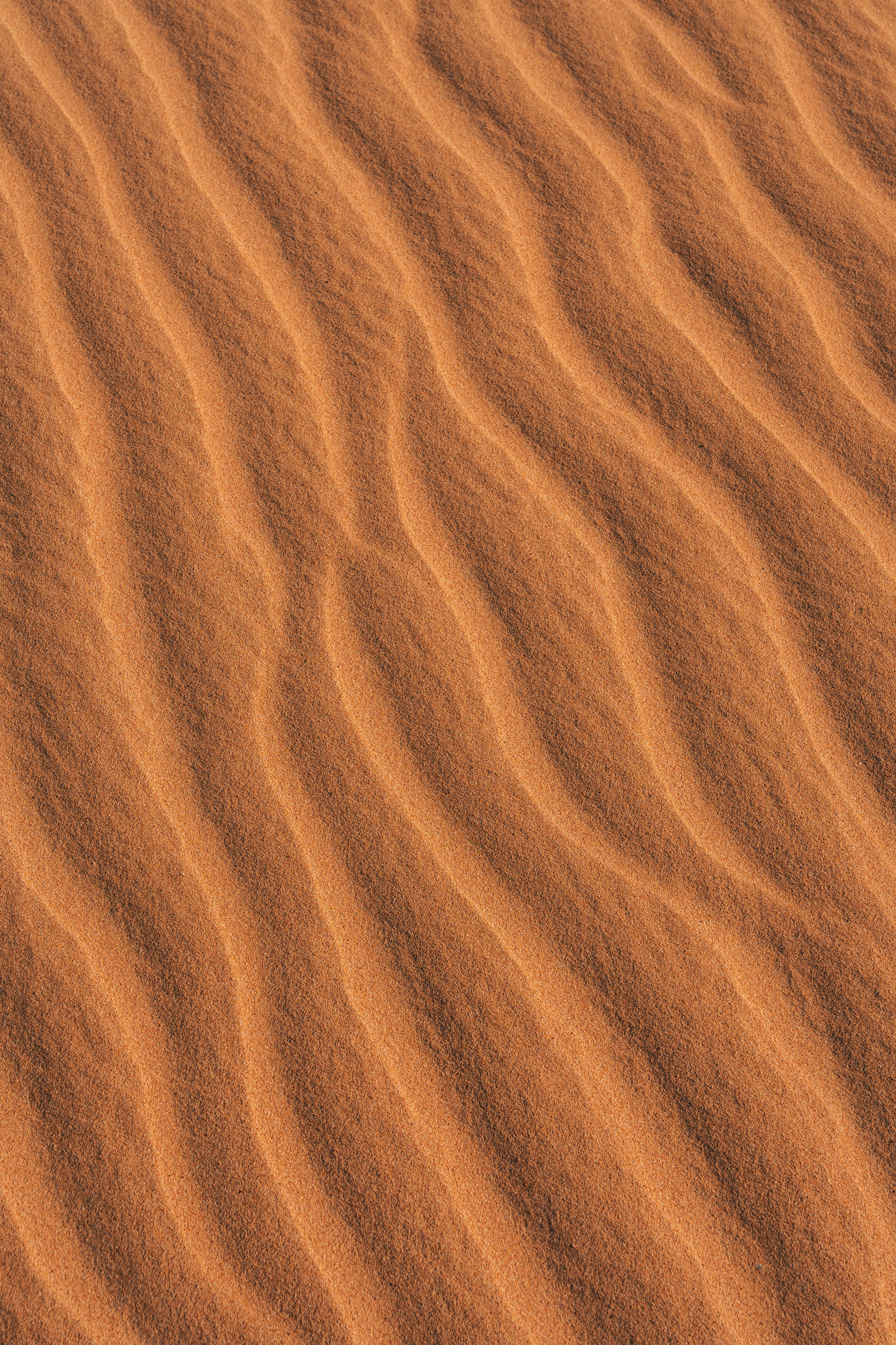 Waves of Warm Sand: A Quiet Dune Texture in Sunlit Rhythm