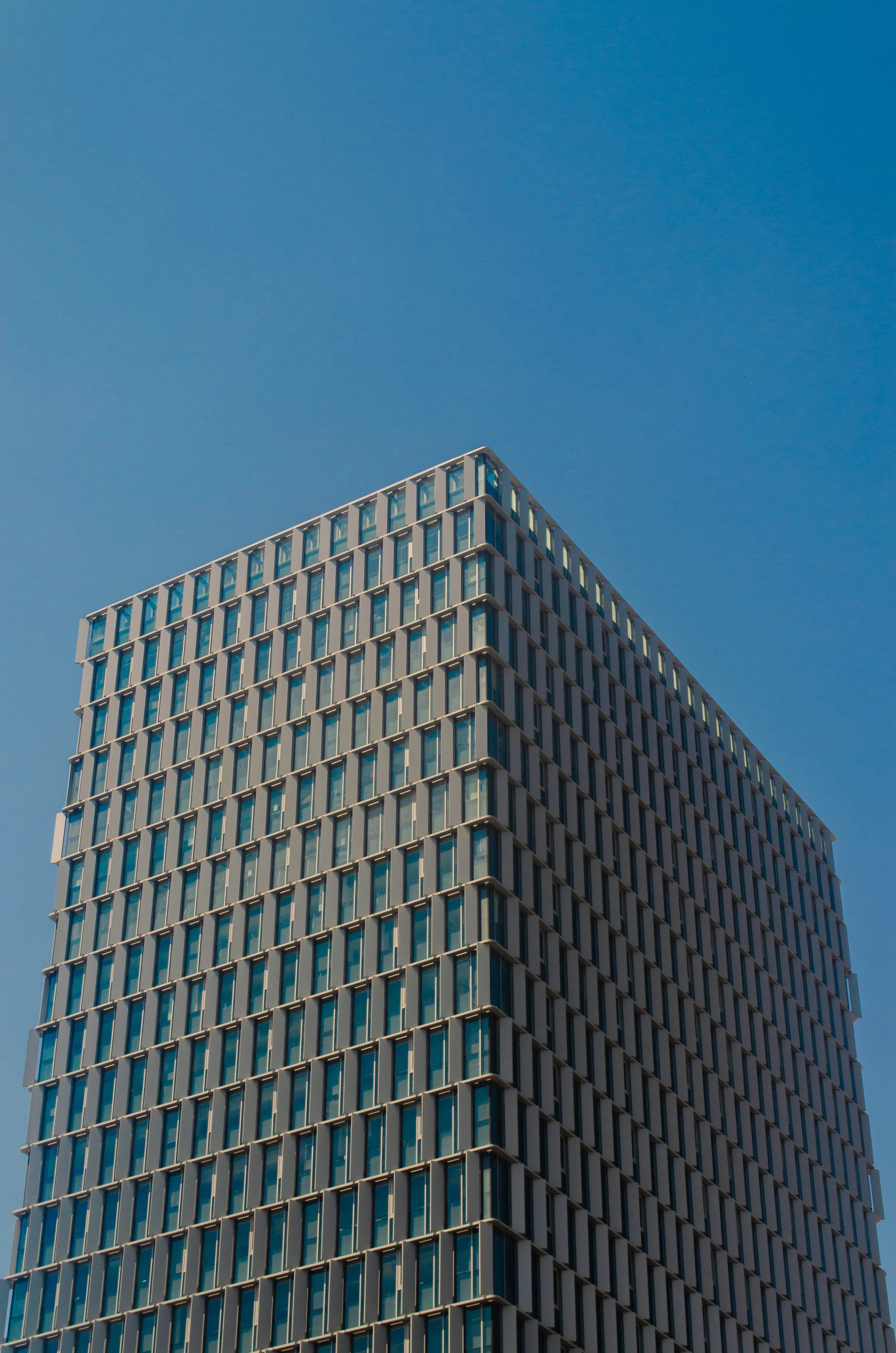 Angular Facade: A Grided Skyward Office Tower Reaching Toward a Clear Blue