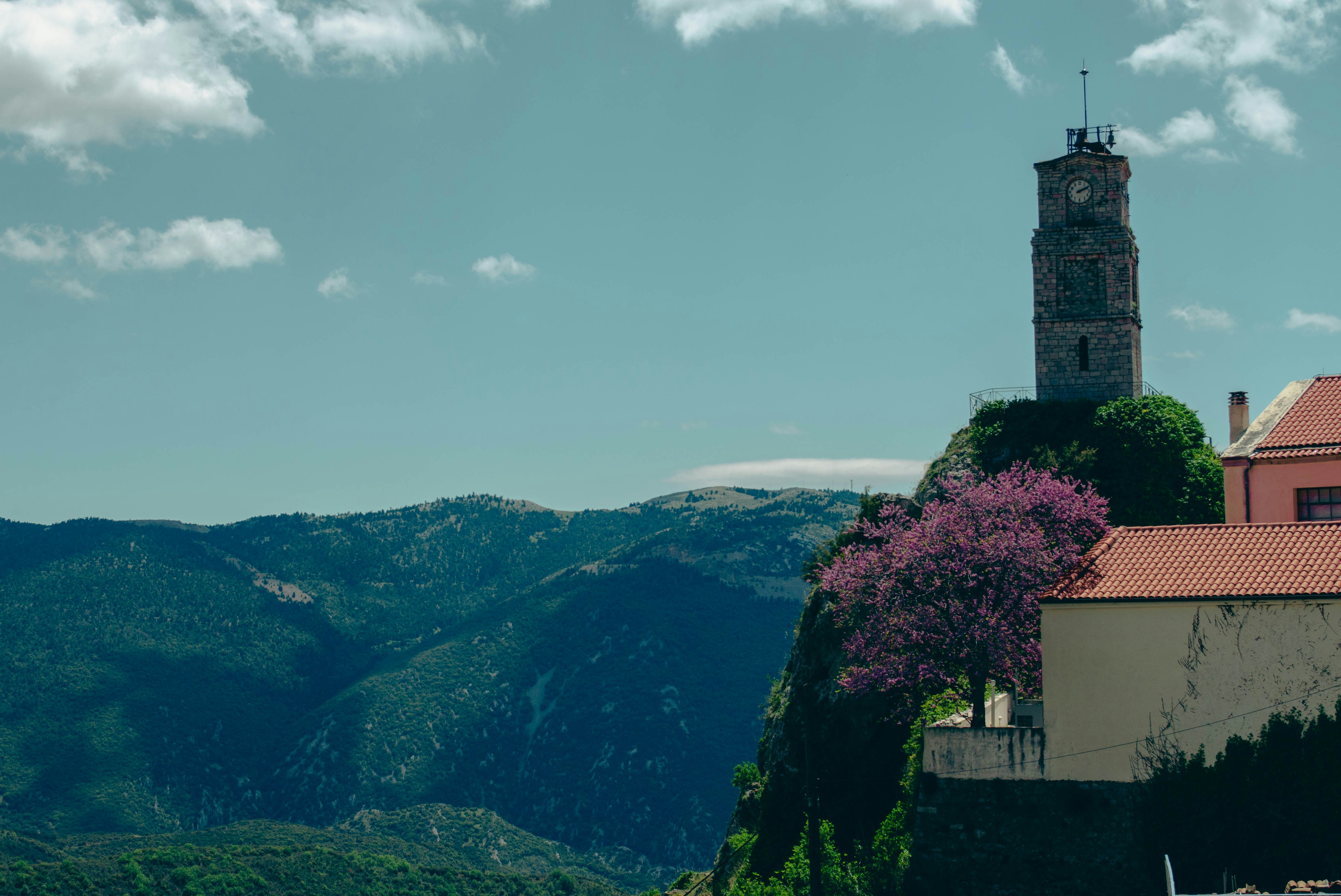Hilltop Clocktower Amid Pink Blossoms Over a Cliff