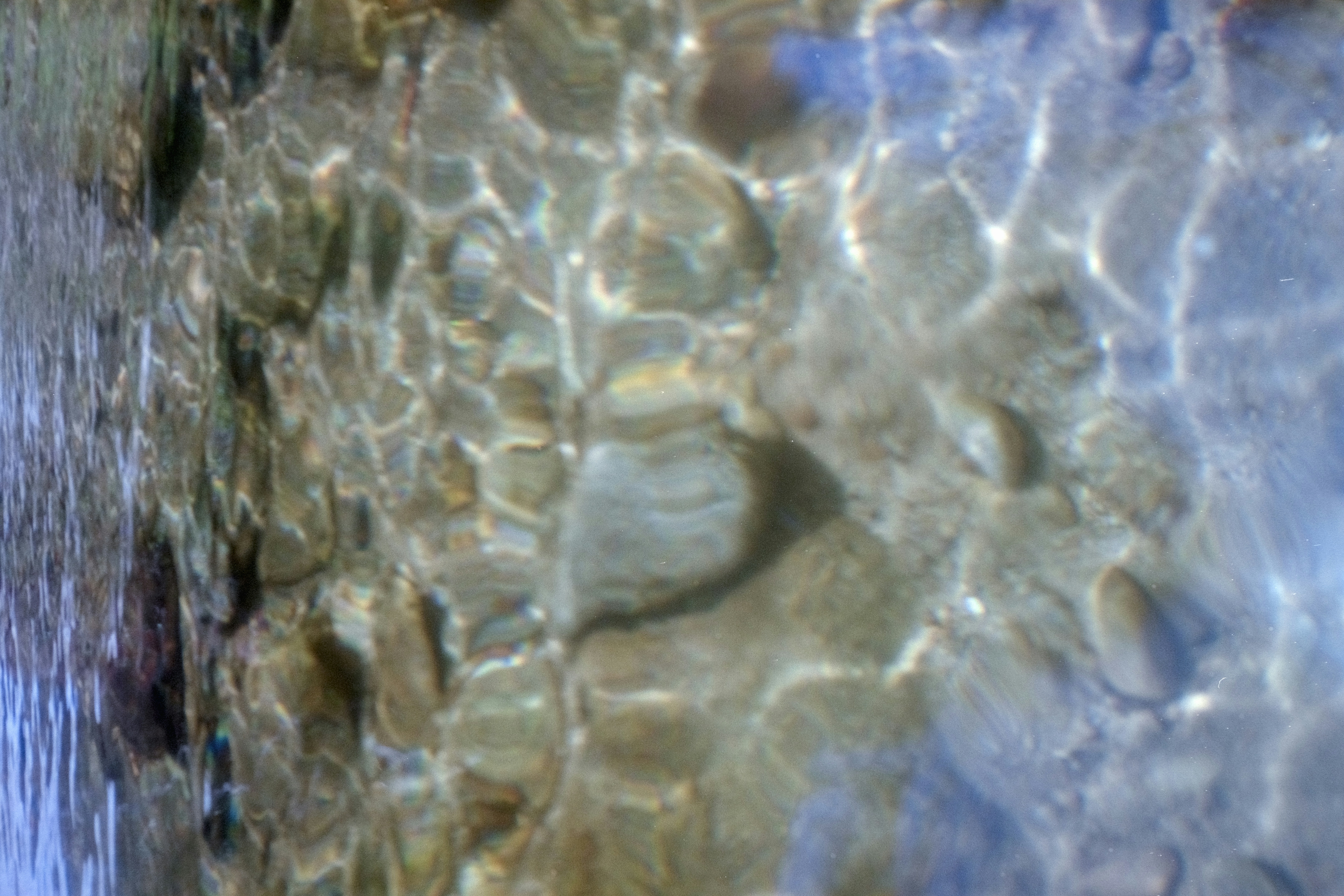 Iridescent Ripples: A Tidal Texture Through Glassy Waters
