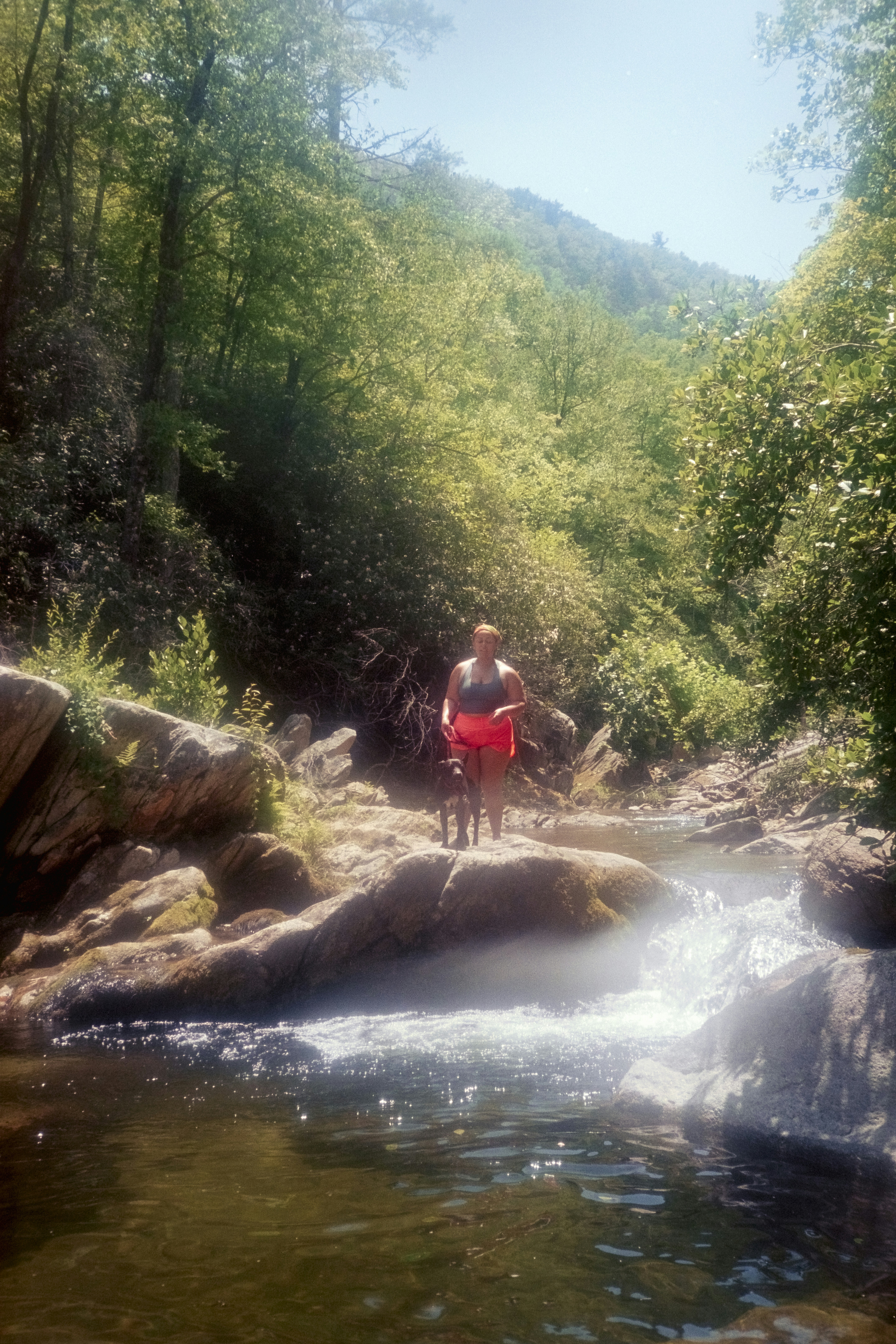 Rivulet Crossing: A lone swimmer and dog on sunlit rocks