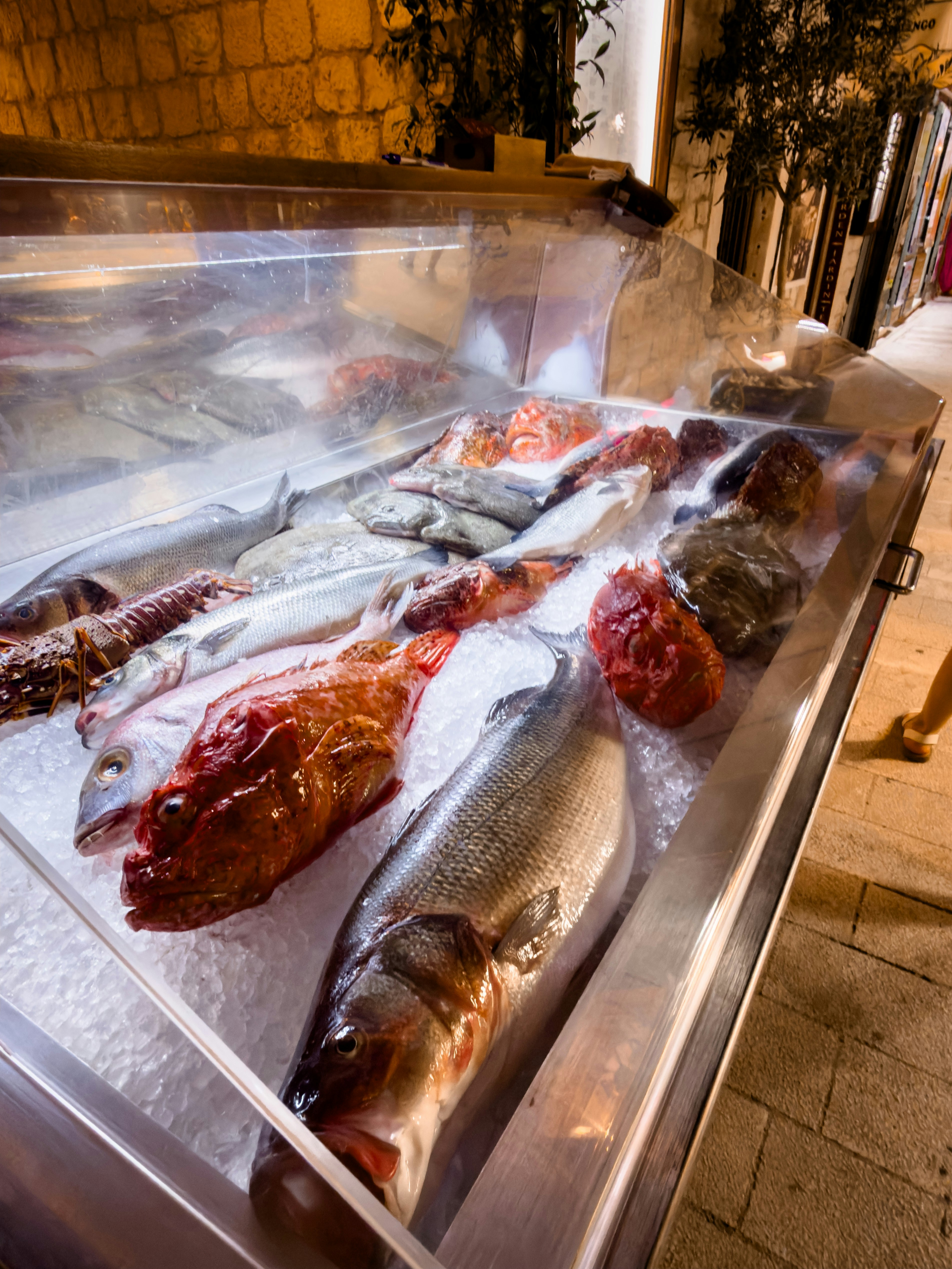 Cold Display of Nightfishs: Ice, Glass, and Steel