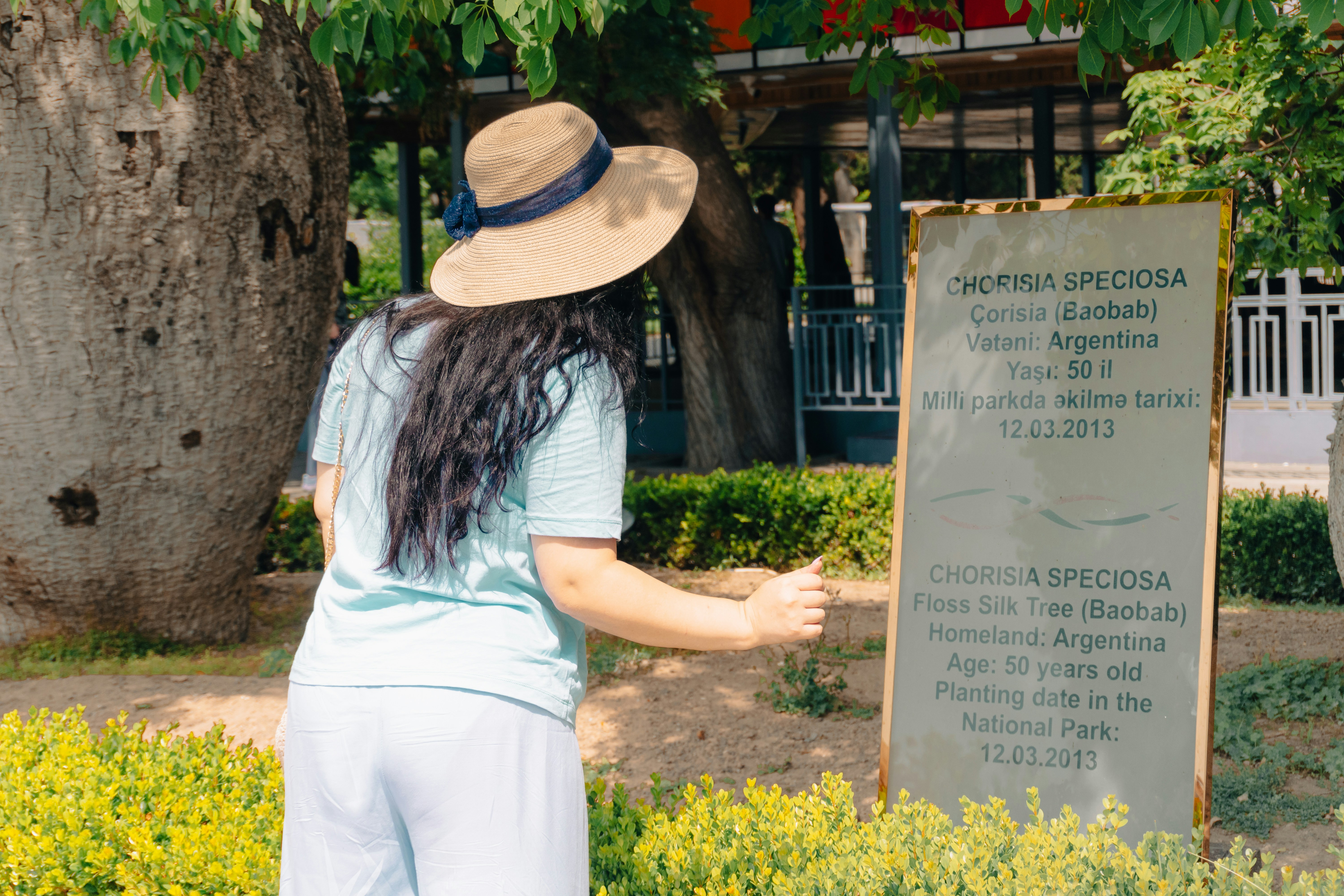 Striding Visitor Reads the Plant Sign in a Sunlit Park