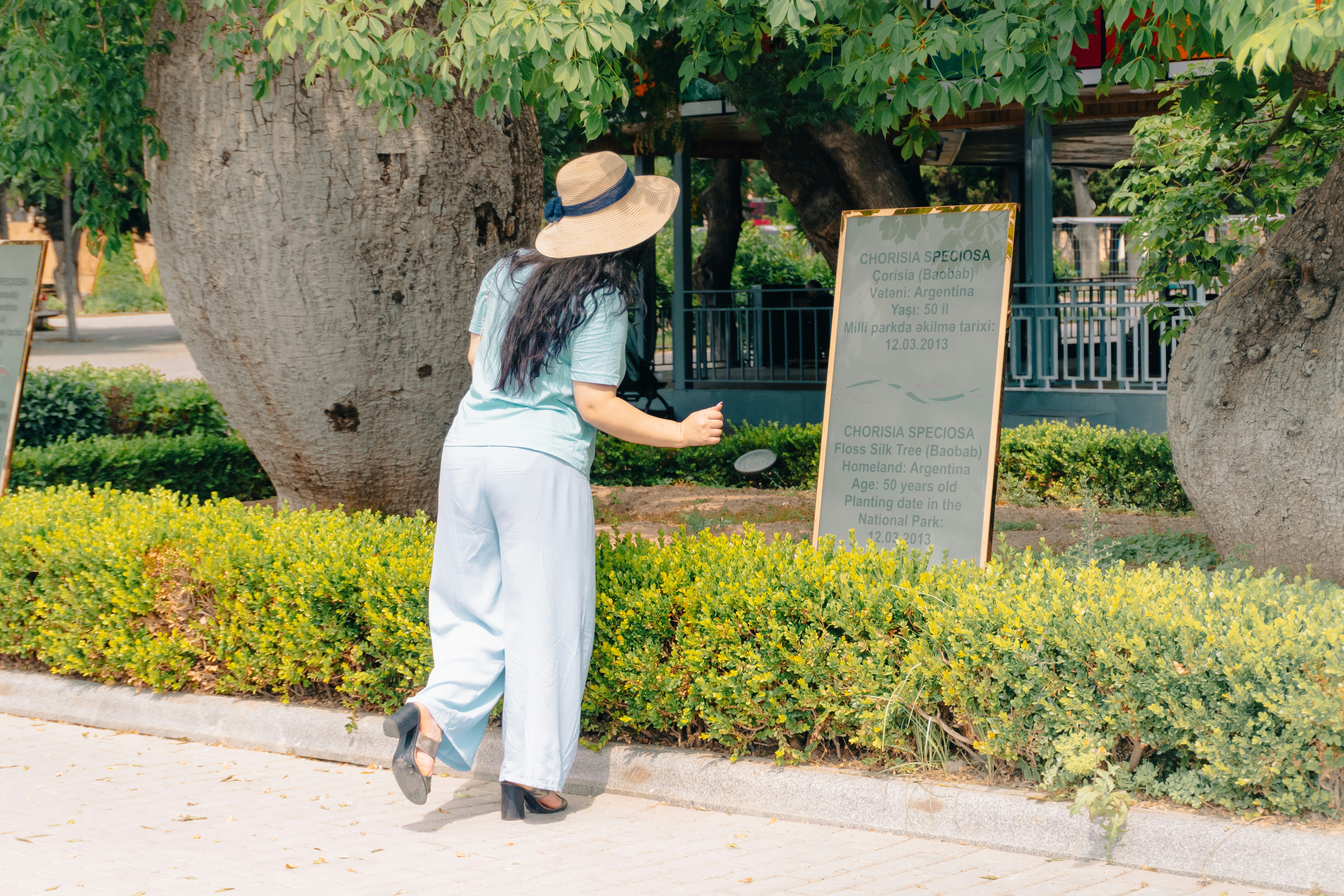 A Quiet Moment: Woman in Sun Hat Reaches Toward a Sign in a Lush Park