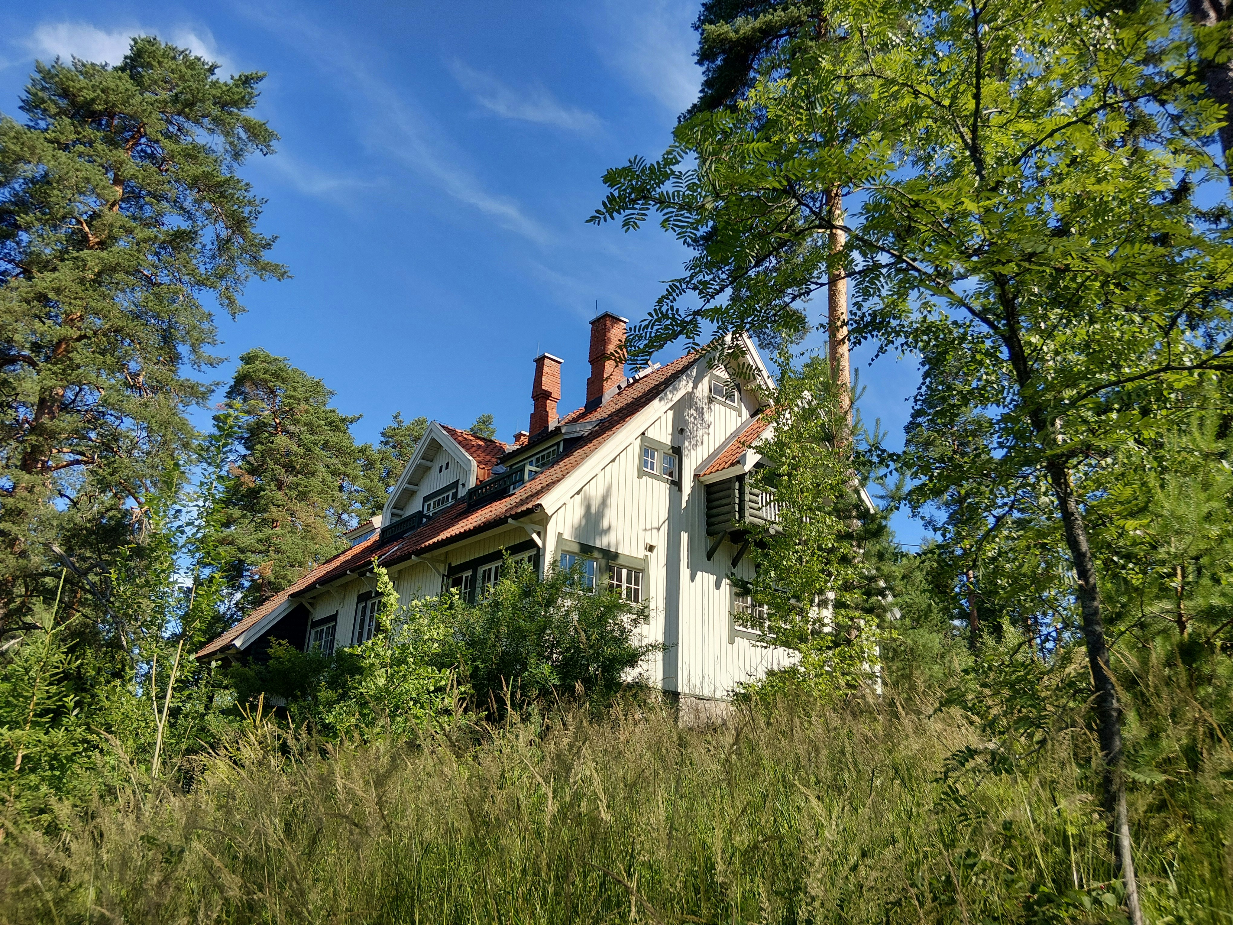 A quaint, slanted house nestled among tall pines with a red-tiled roof and blooming garden, captured in bright daylight. The scene emphasizes the building’s character within a natural, slightly wild setting.