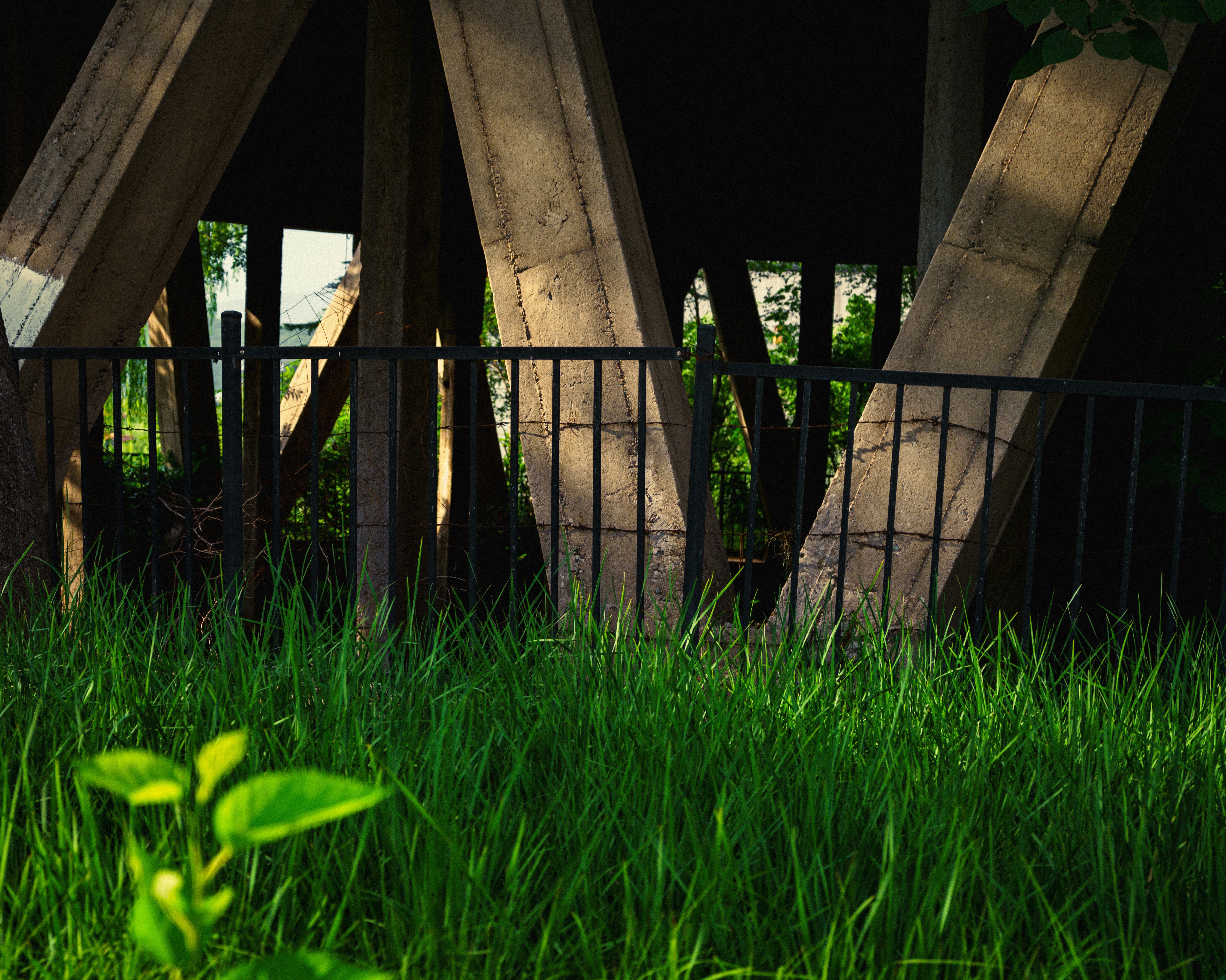 Photo by X F with Sony Alpha 7R IV