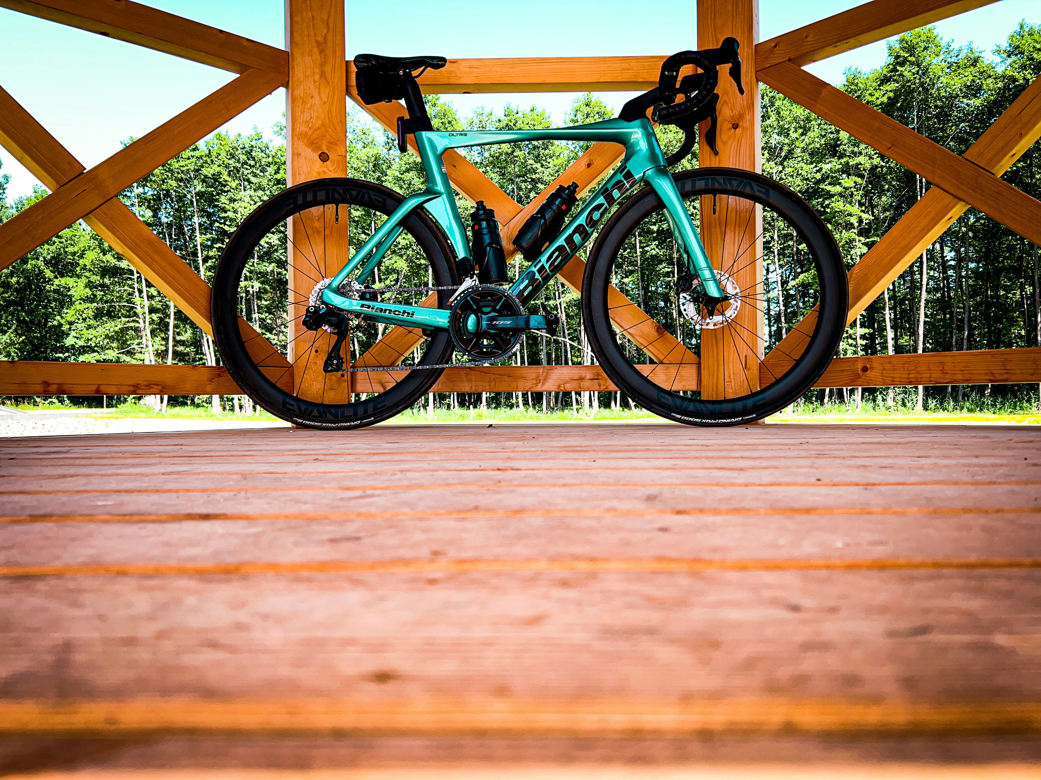 Teal Steed on Cedar Planks