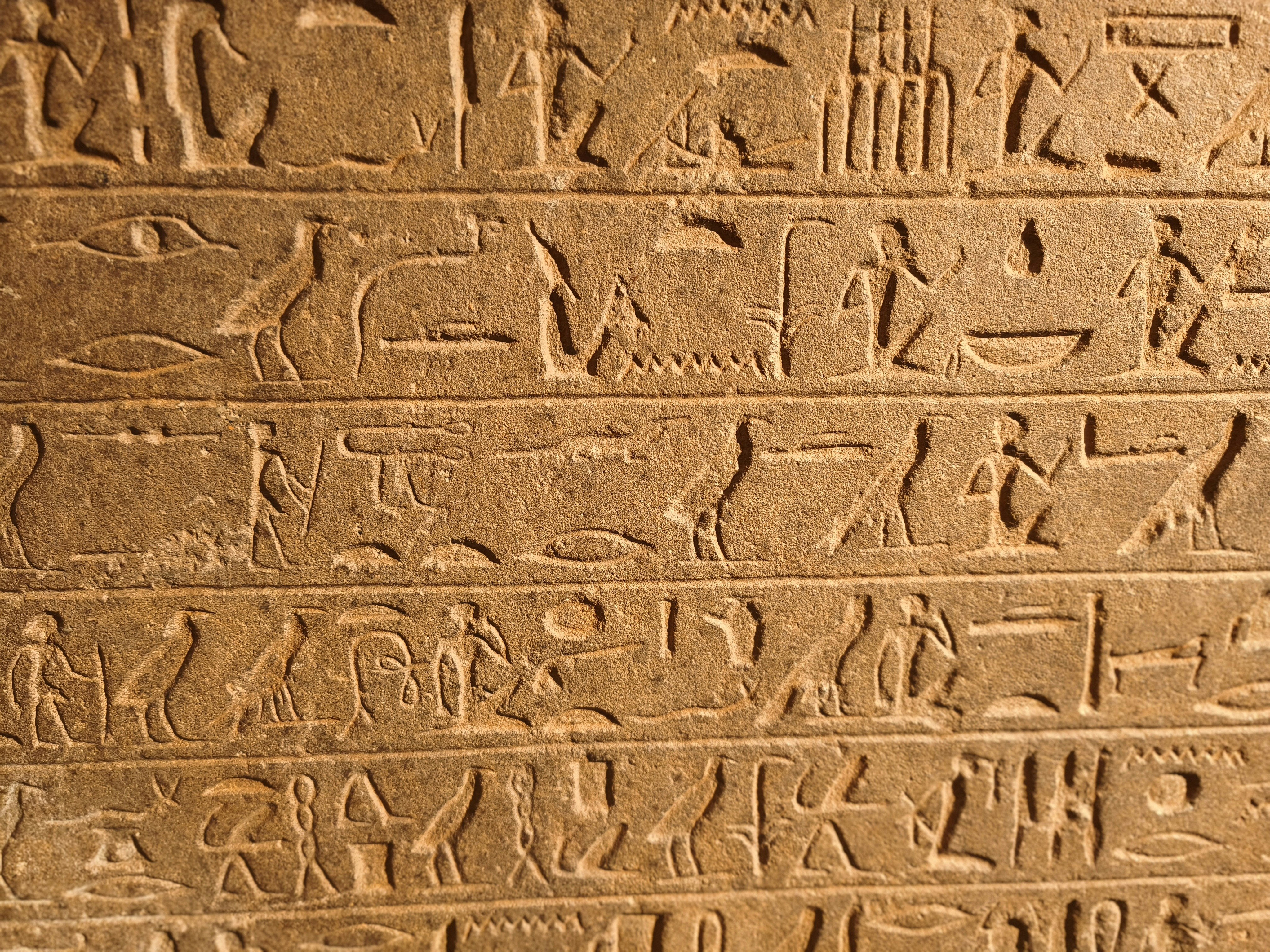 Ancient hieroglyphic reliefs etched into a warm stone surface, revealing rows of stylized figures and symbols. The image highlights texture, shadows, and the historical craftsmanship of the carving.