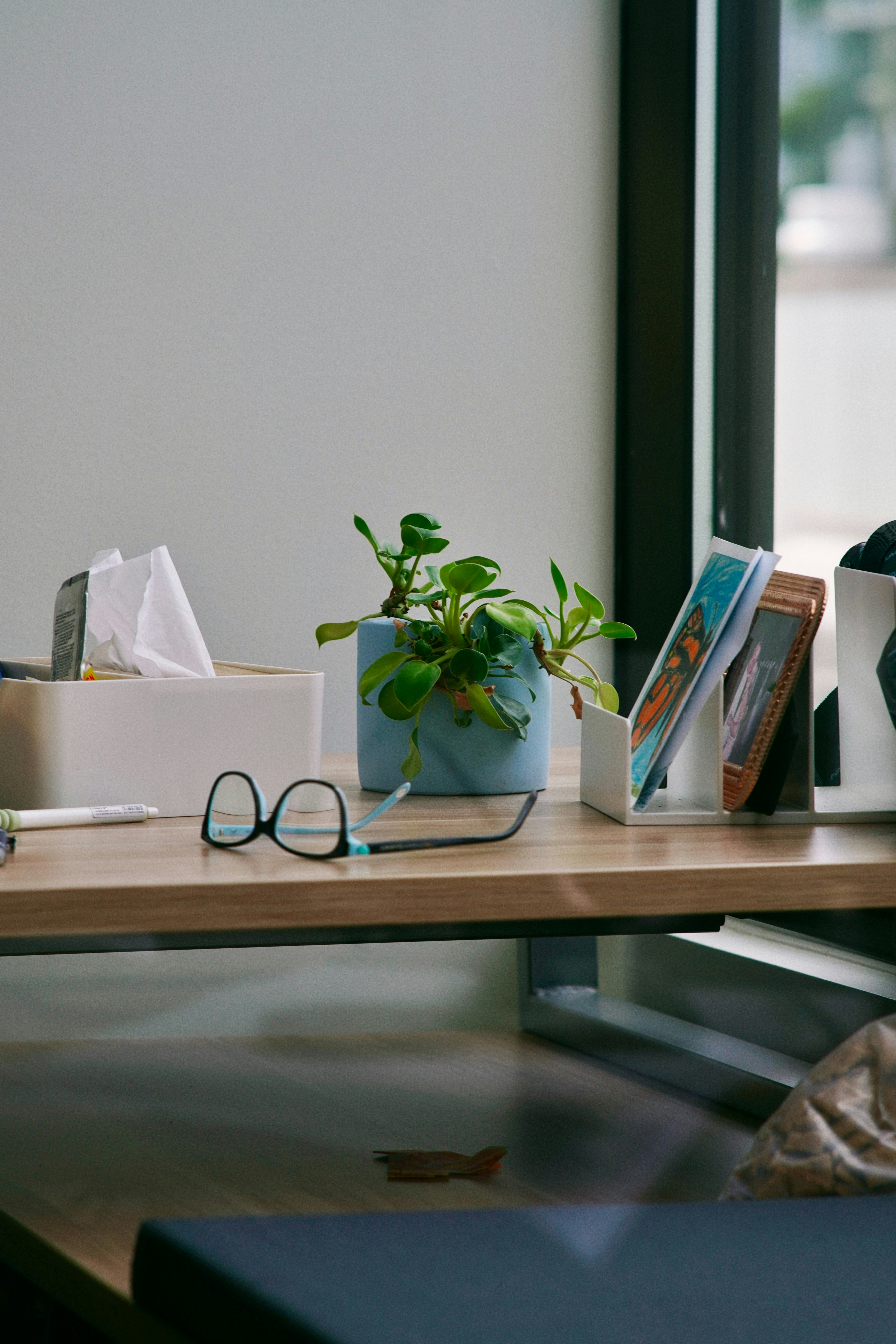 Potted Greenery on a Quiet Desk by the Window