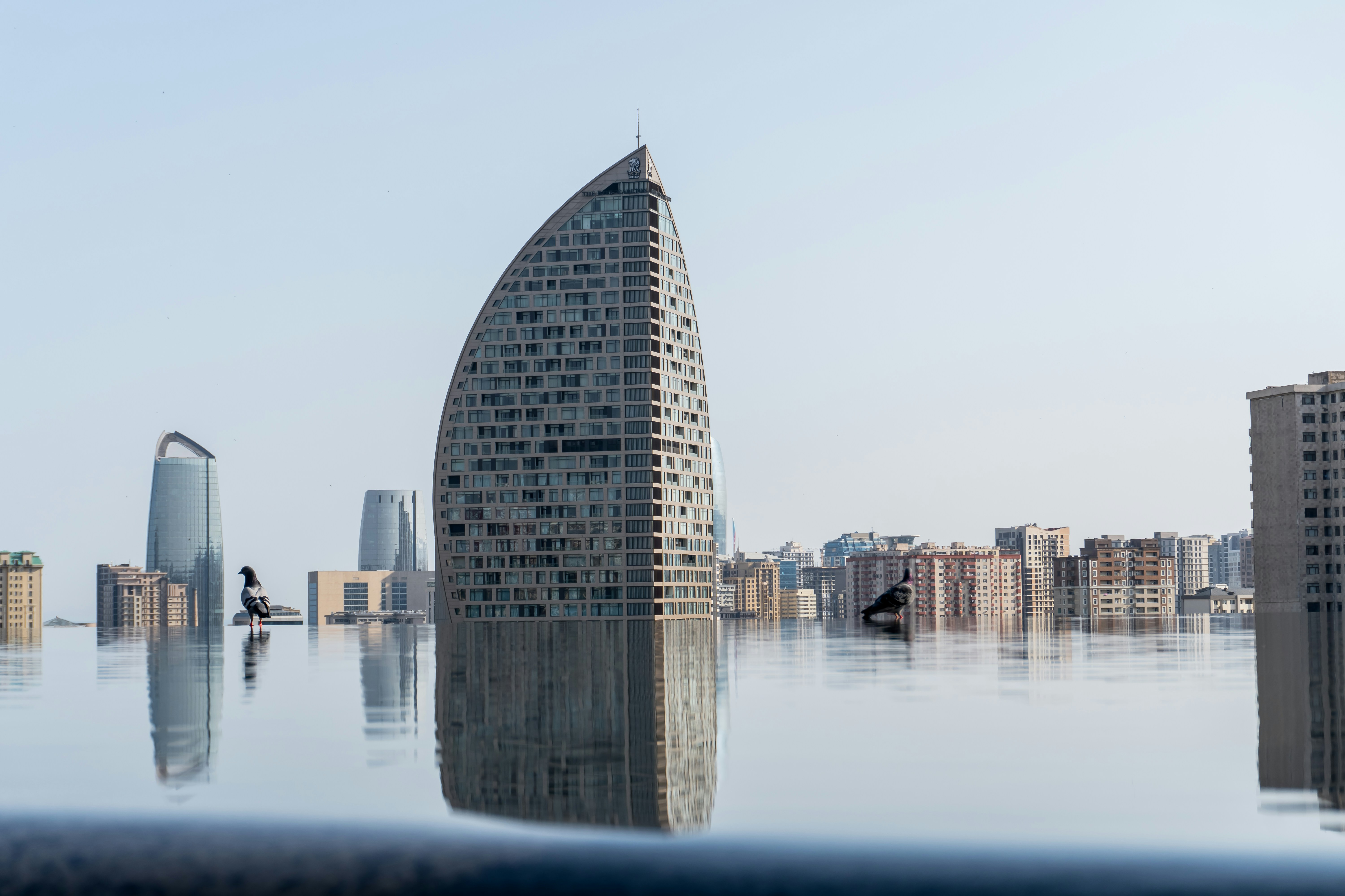 Liquid City: A Facade Rising from the Glass Sea