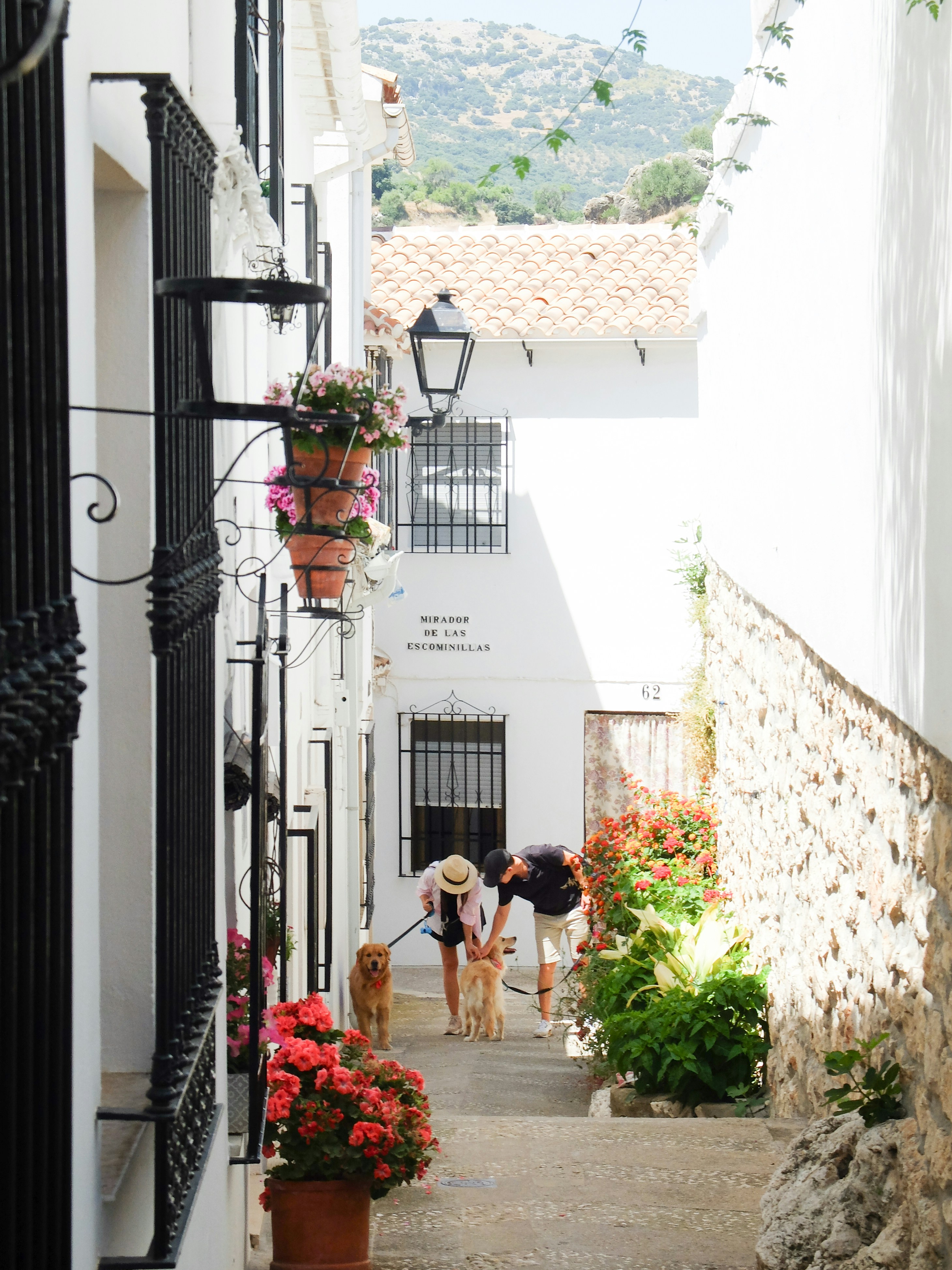 Two people with hats walk a sunlit stone alley with two golden retrievers; vibrant potted flowers line the walls, white buildings, and a stone path recede toward a small village street.
