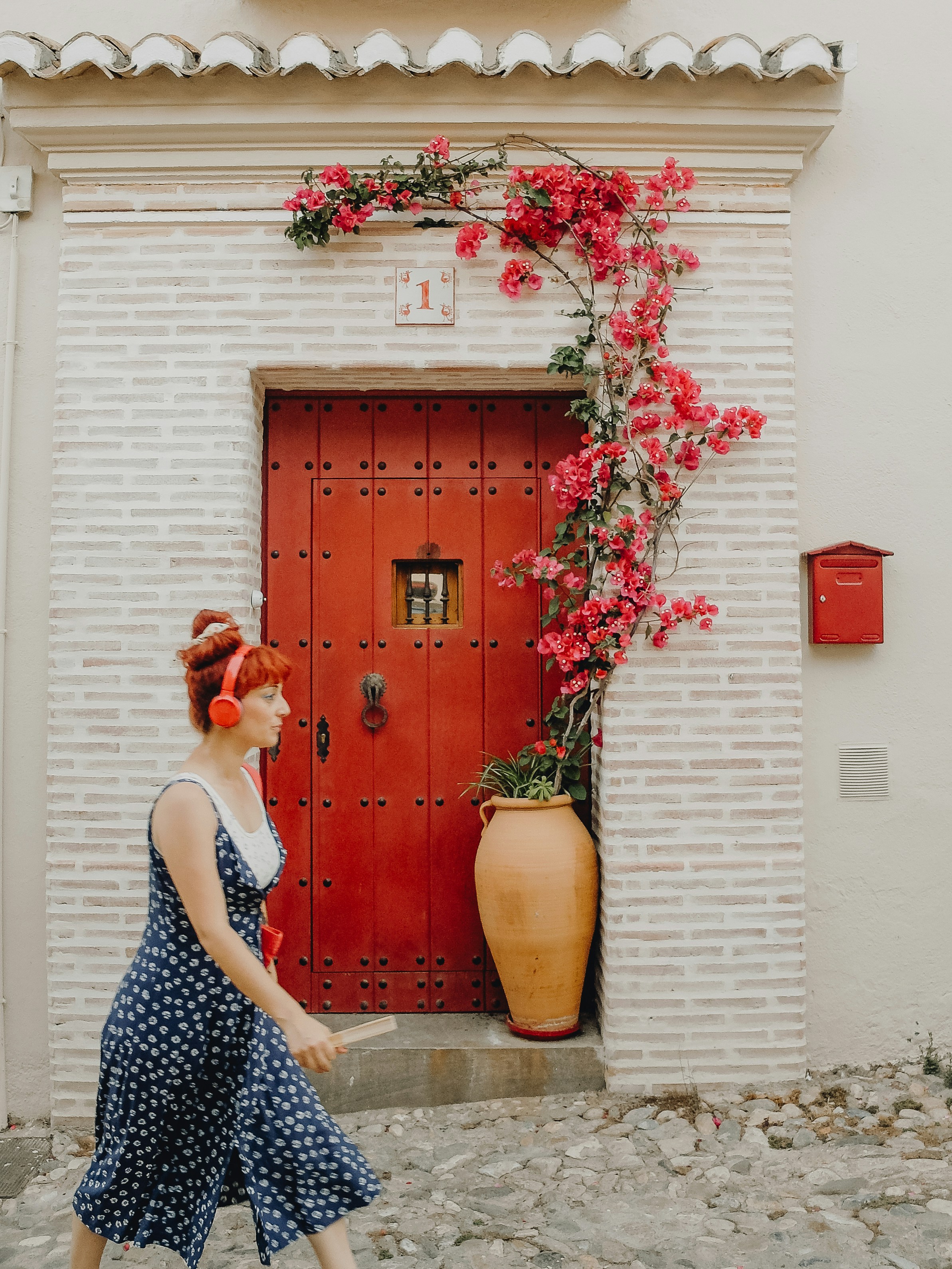 Red Door, Pink Bougainvillea, and a Striding Dreamer