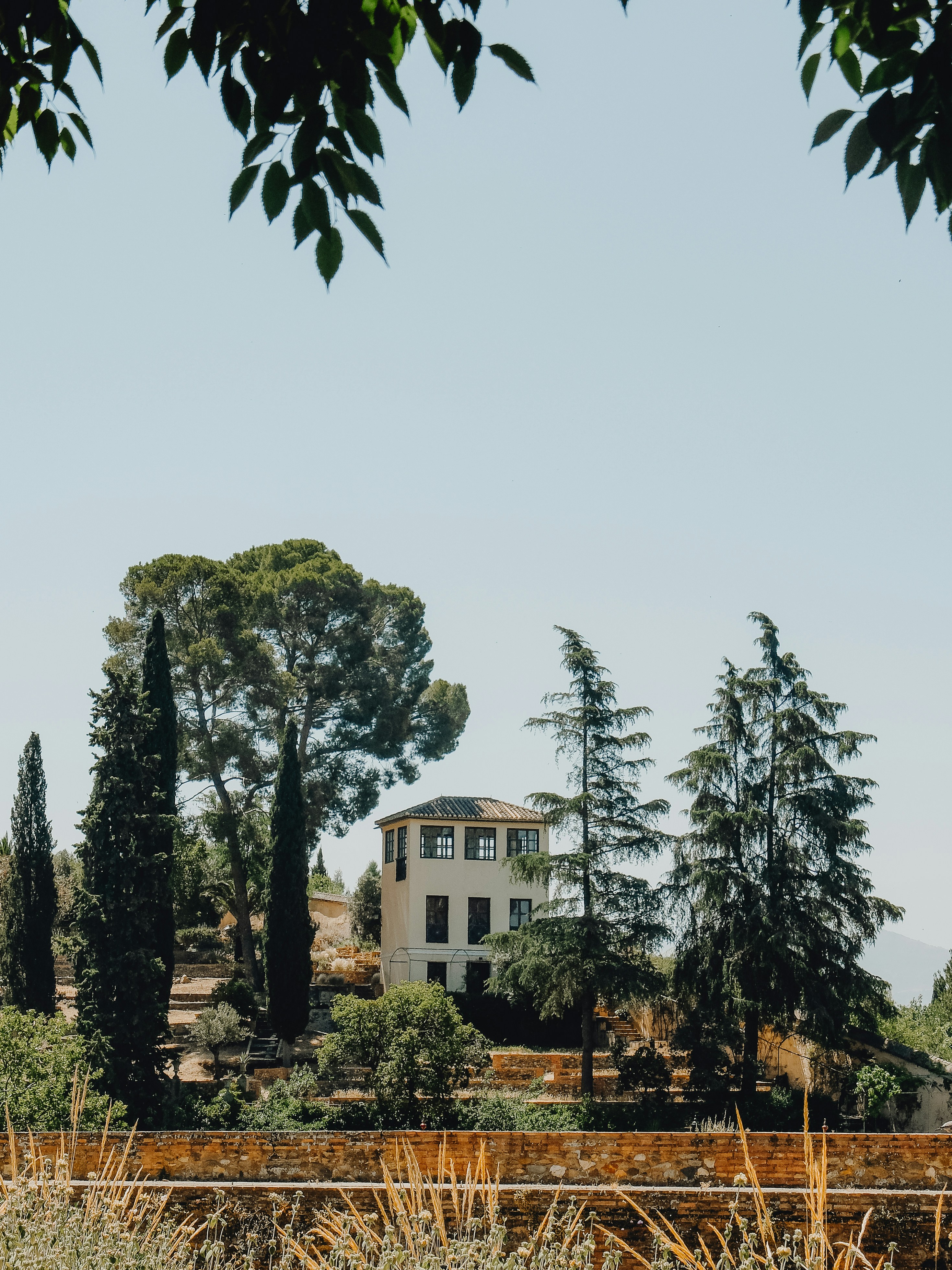 Villa Crest over Olive Terrace