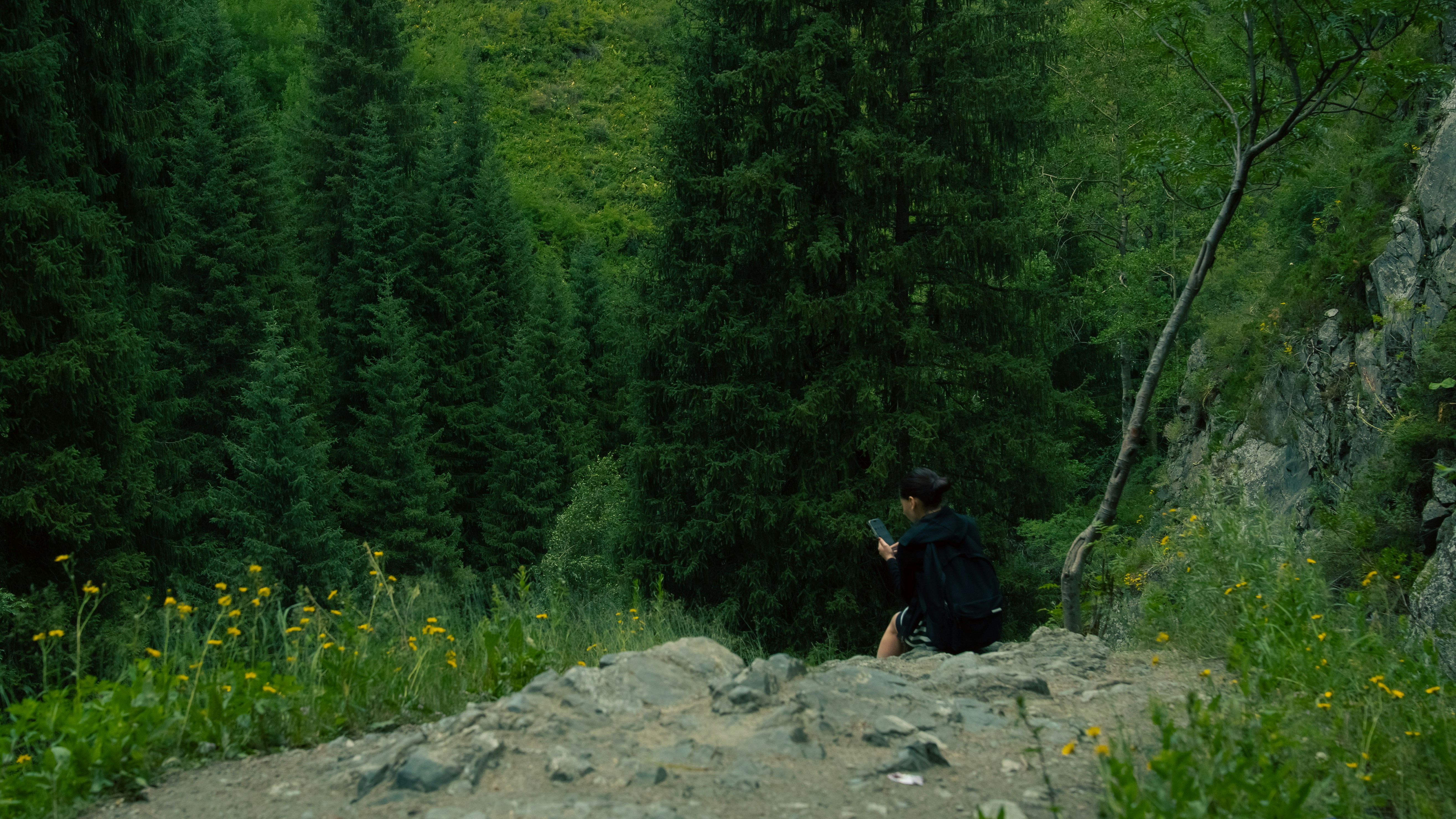 Hiker on a rocky ledge ready to explore a pine forest valley