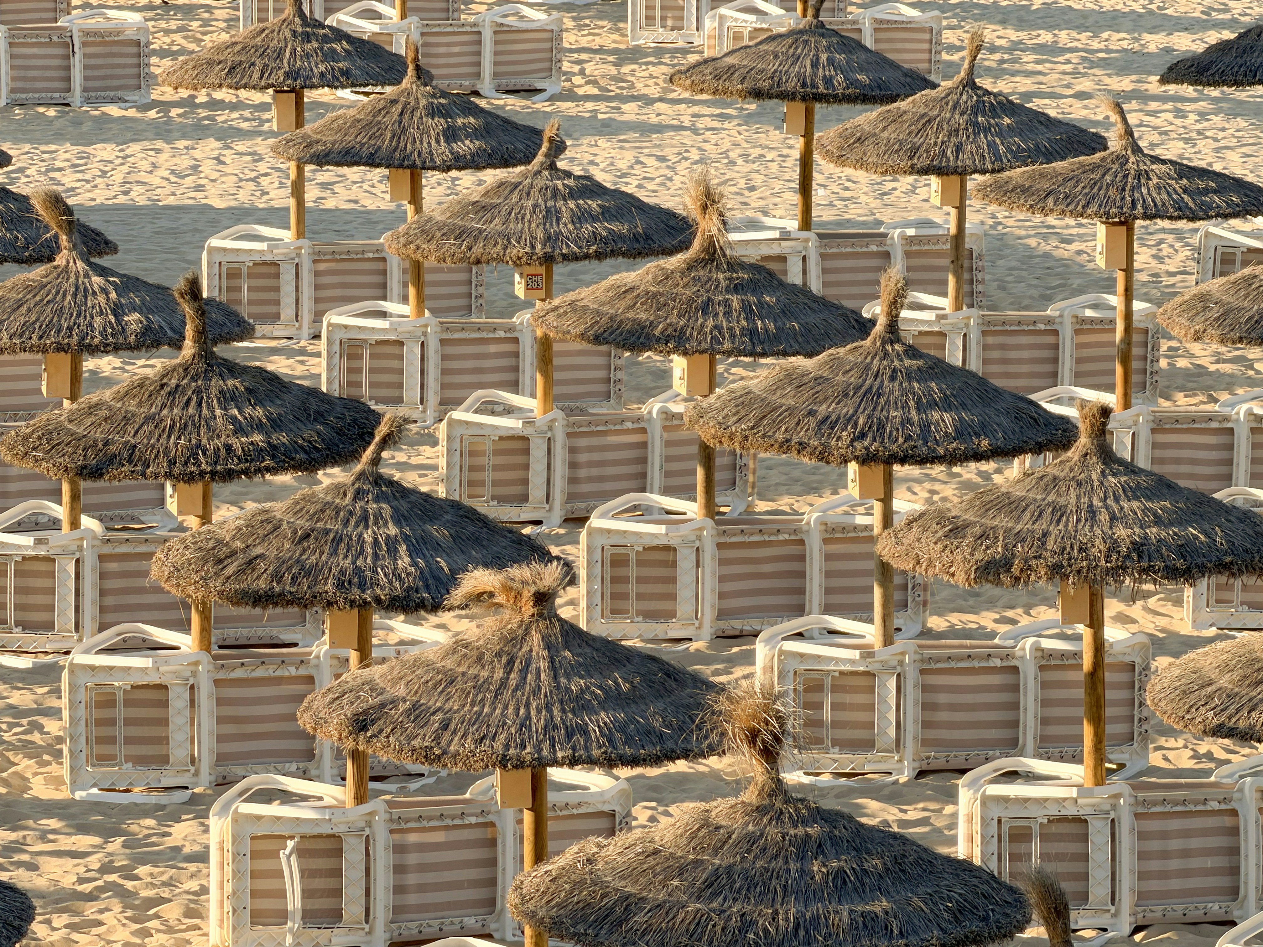 Rows of traditional thatched beach parasols and neatly arranged sun loungers on a golden sandy beach in Mallorca, Spain. Captured in warm morning light, this Mediterranean summer scene creates a relaxing holiday atmosphere with repeating natural patterns, making it ideal for travel, tourism, vacation, resort, beach, lifestyle and background use.