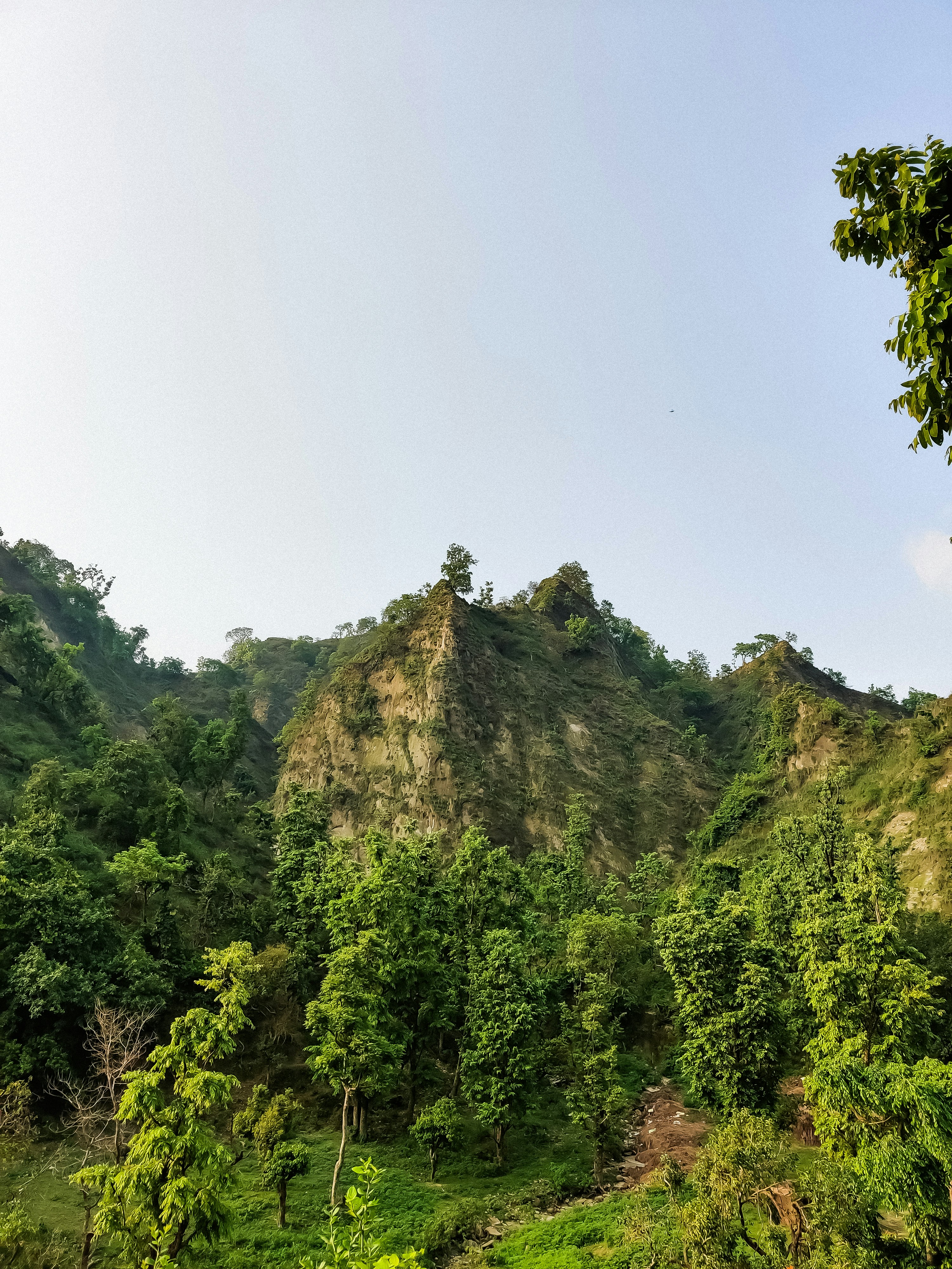 Verdant Escarpment: A Quiet Cliffscape Beneath Open Sky