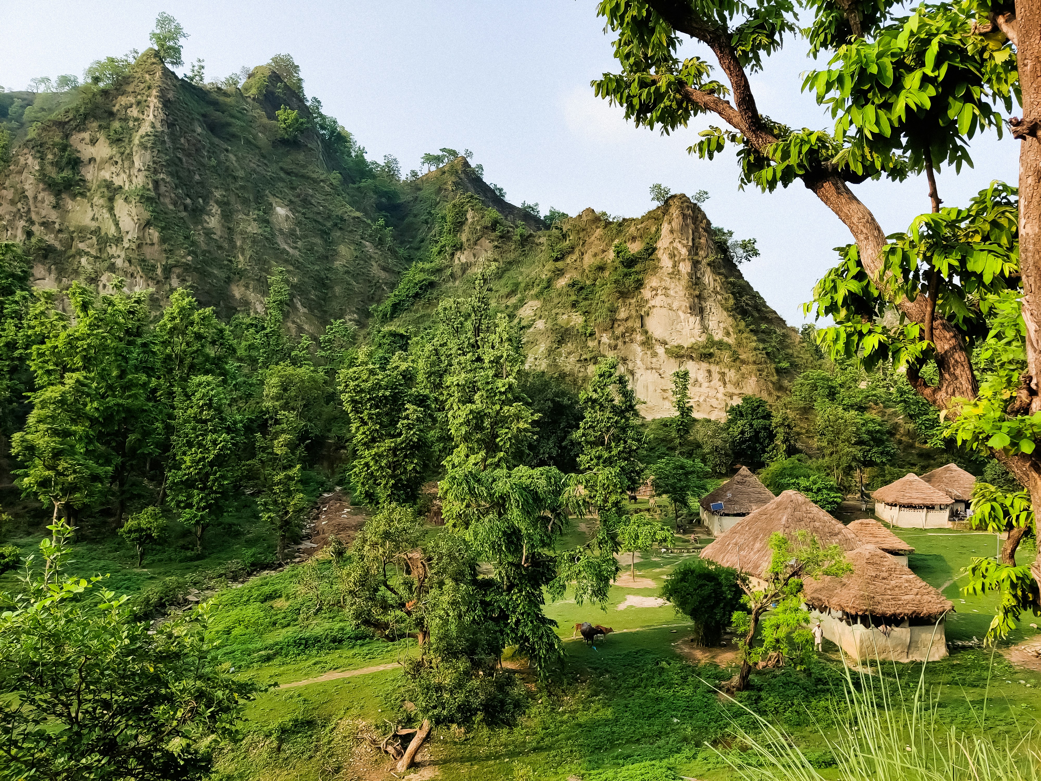 Green Cathedral above the Village: Hills, Thatched Roofs and Lush Foliage