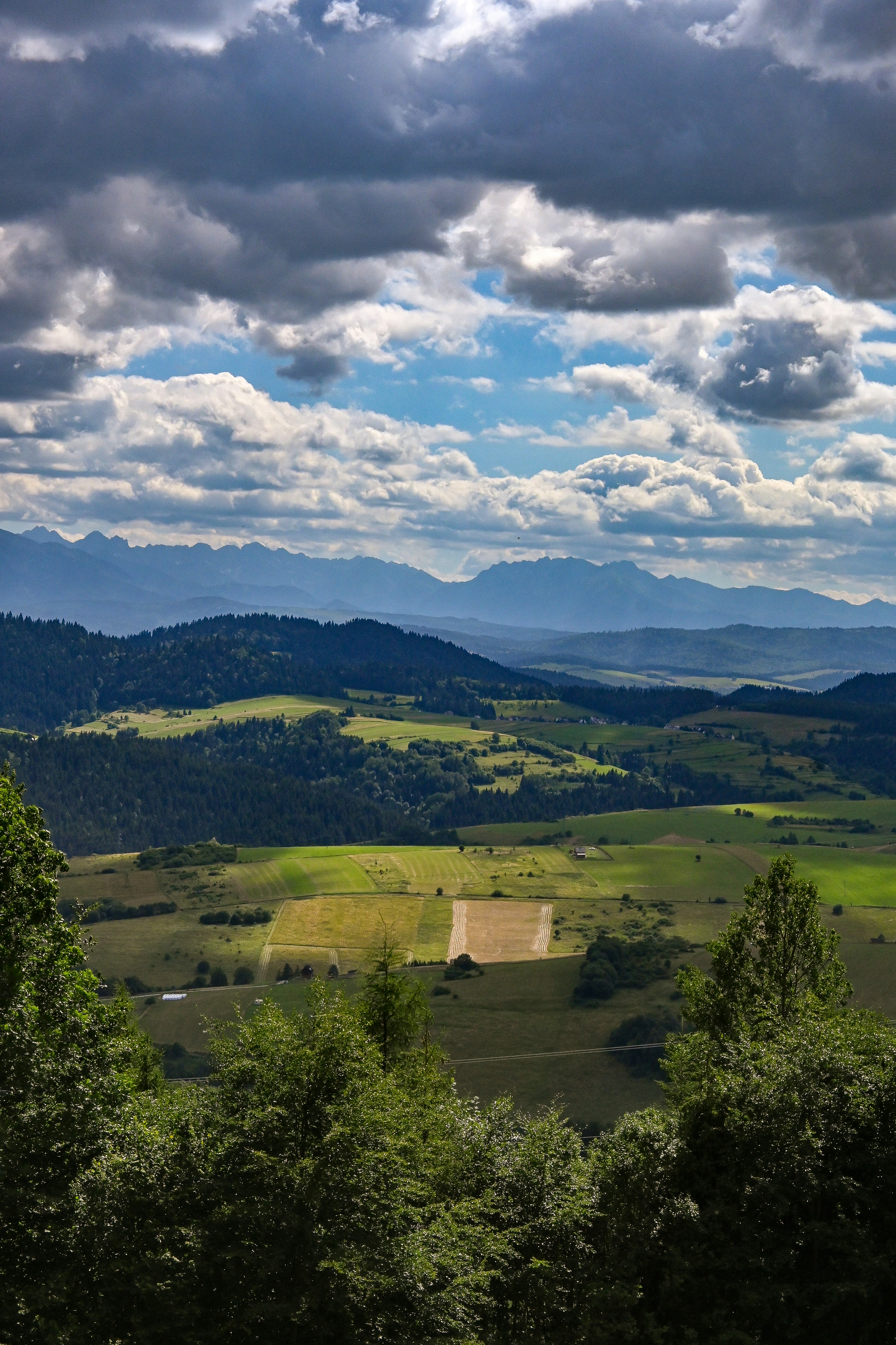 Rolling Hills under a Layered Sky