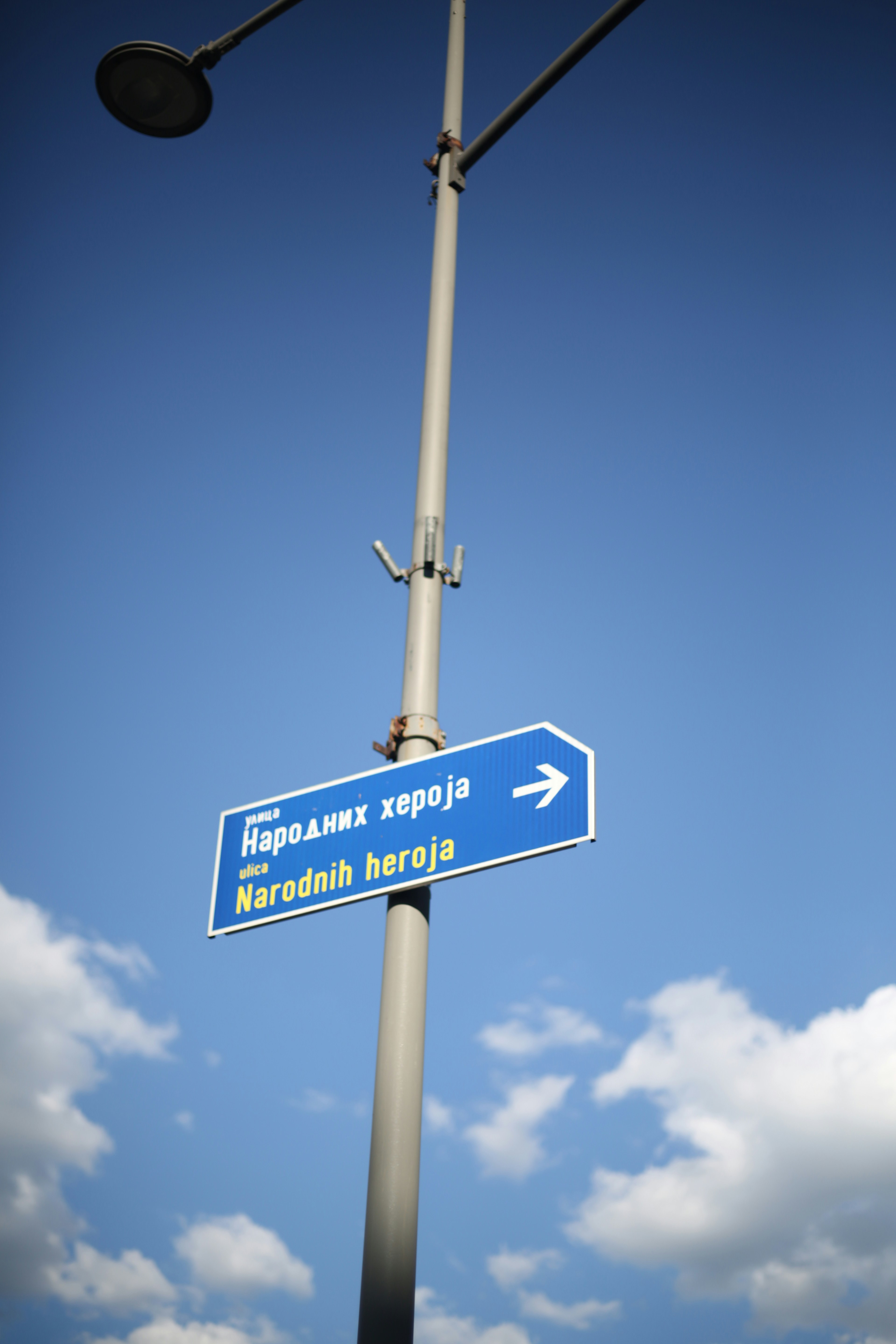 Blue Street Sign Reaches Toward the Sky