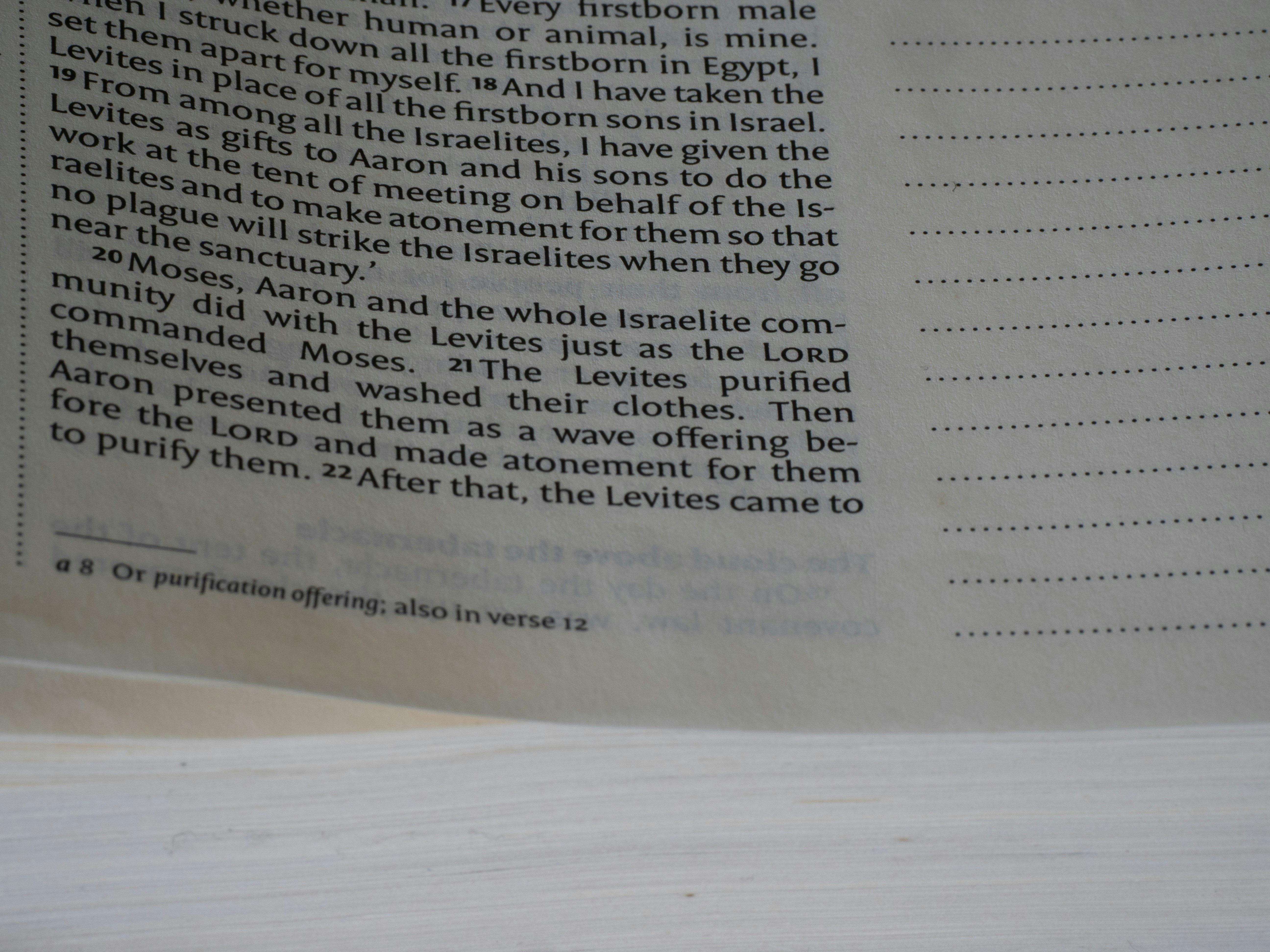 Ancient Script in Focus: A Page Teaches Quiet Truth