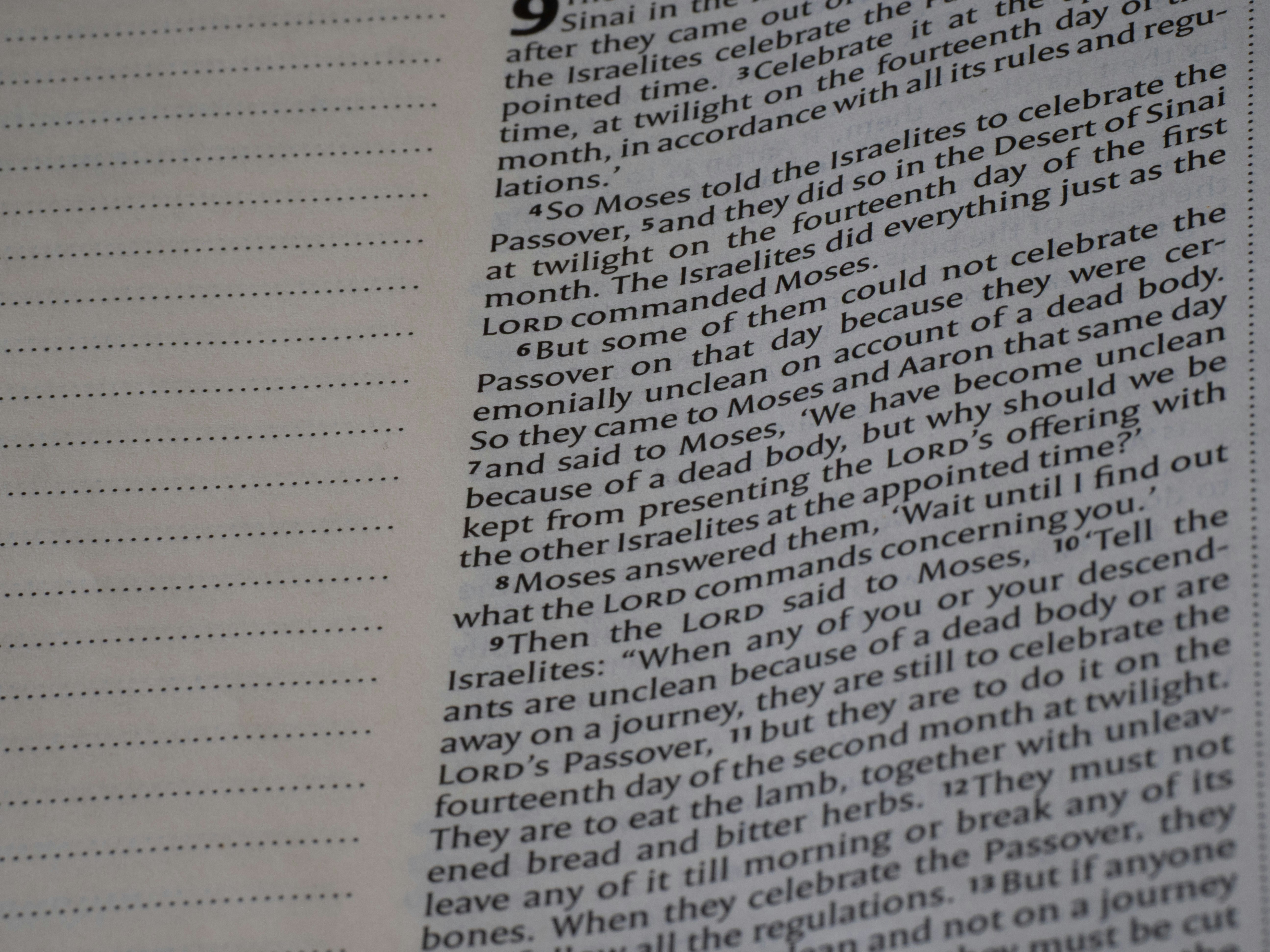 Laid-Open Script: A Close-Up of Printed Text Framed by Notebook Lines
