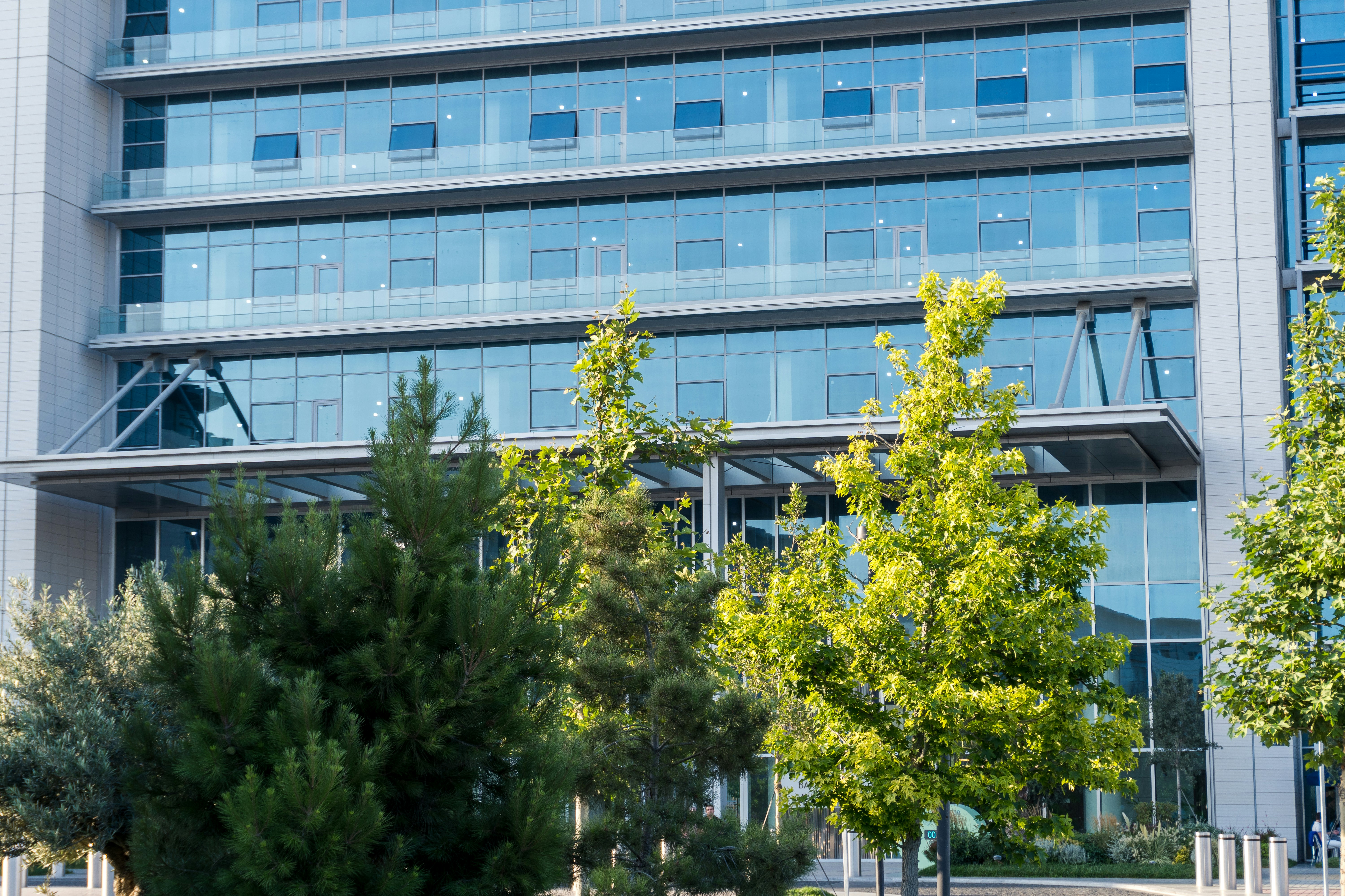 Glass Facade Echoes of Spring: Trees Frame a Modern Office Building