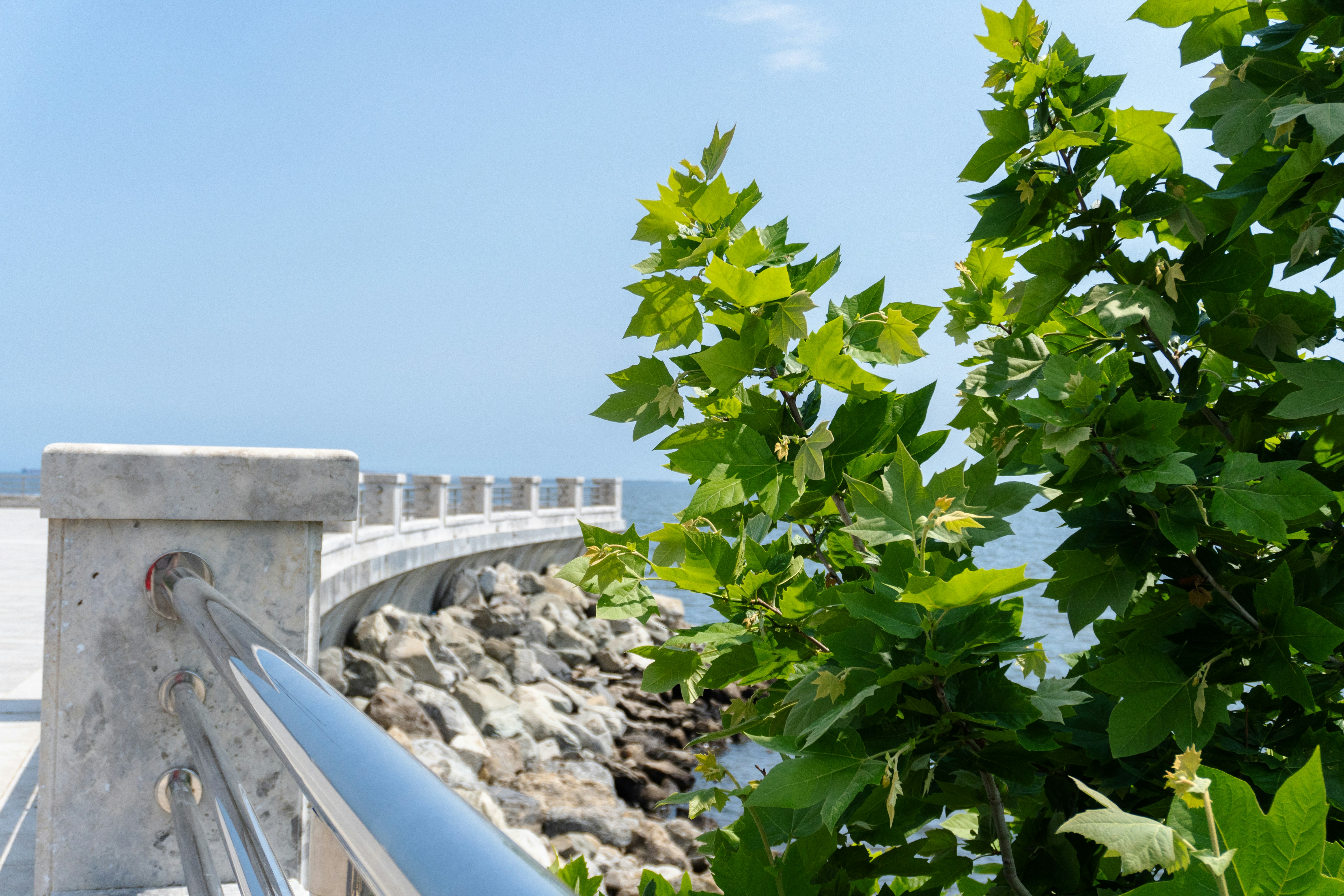 Coastal railing leads the eye toward sunlit sea beyond lush green foliage