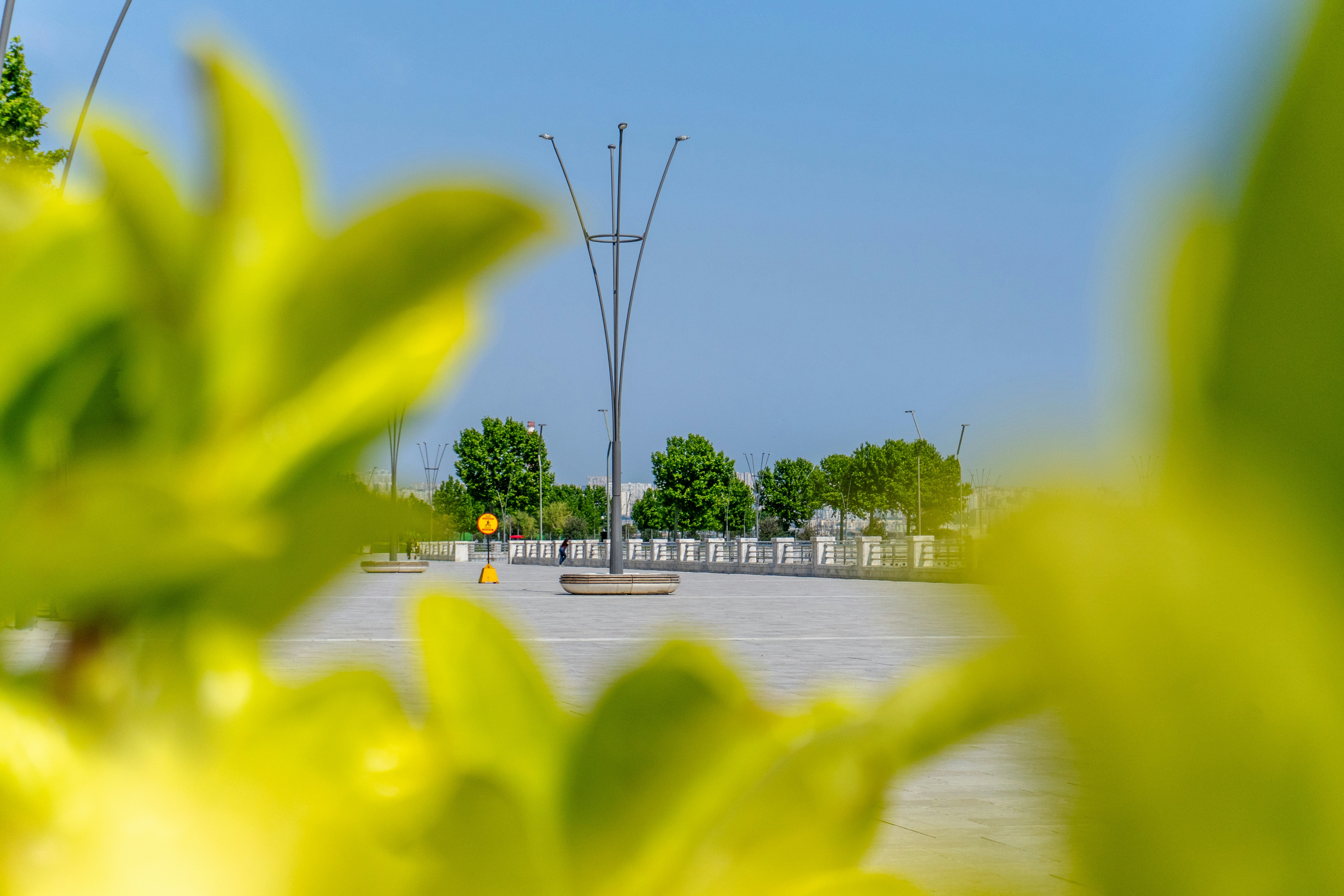 A Quiet Plaza Framed by Greenery